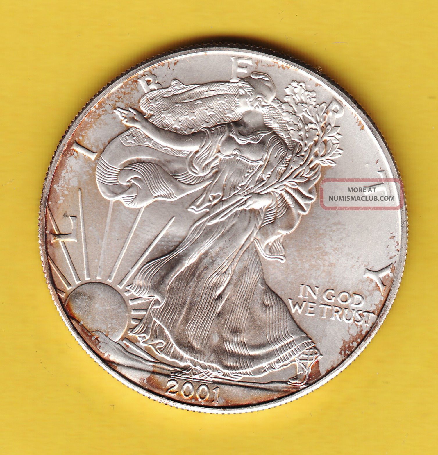 United States Silver Dollar 2001 Bullion Silver Eagle One Ounce united-states-silver-dollar-2001-bullion-silver-eagle-one-ounce