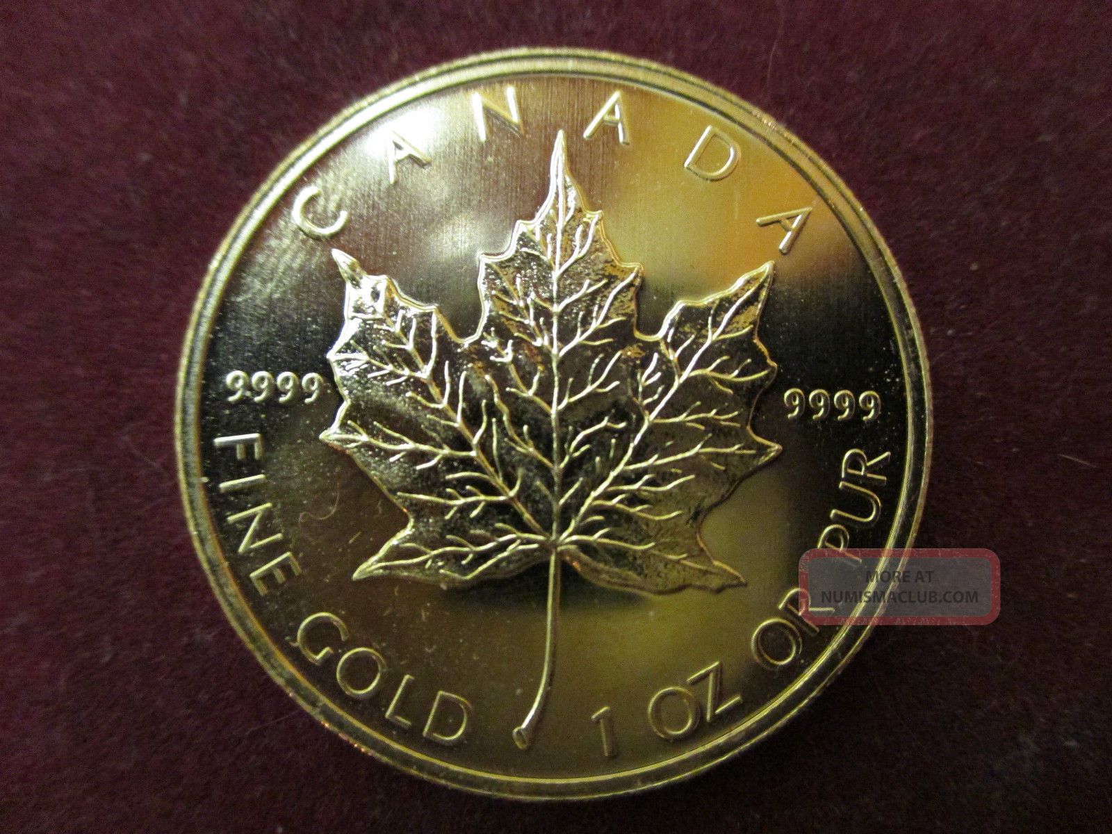 1 Oz Gold Canadian Maple Leaf Coin