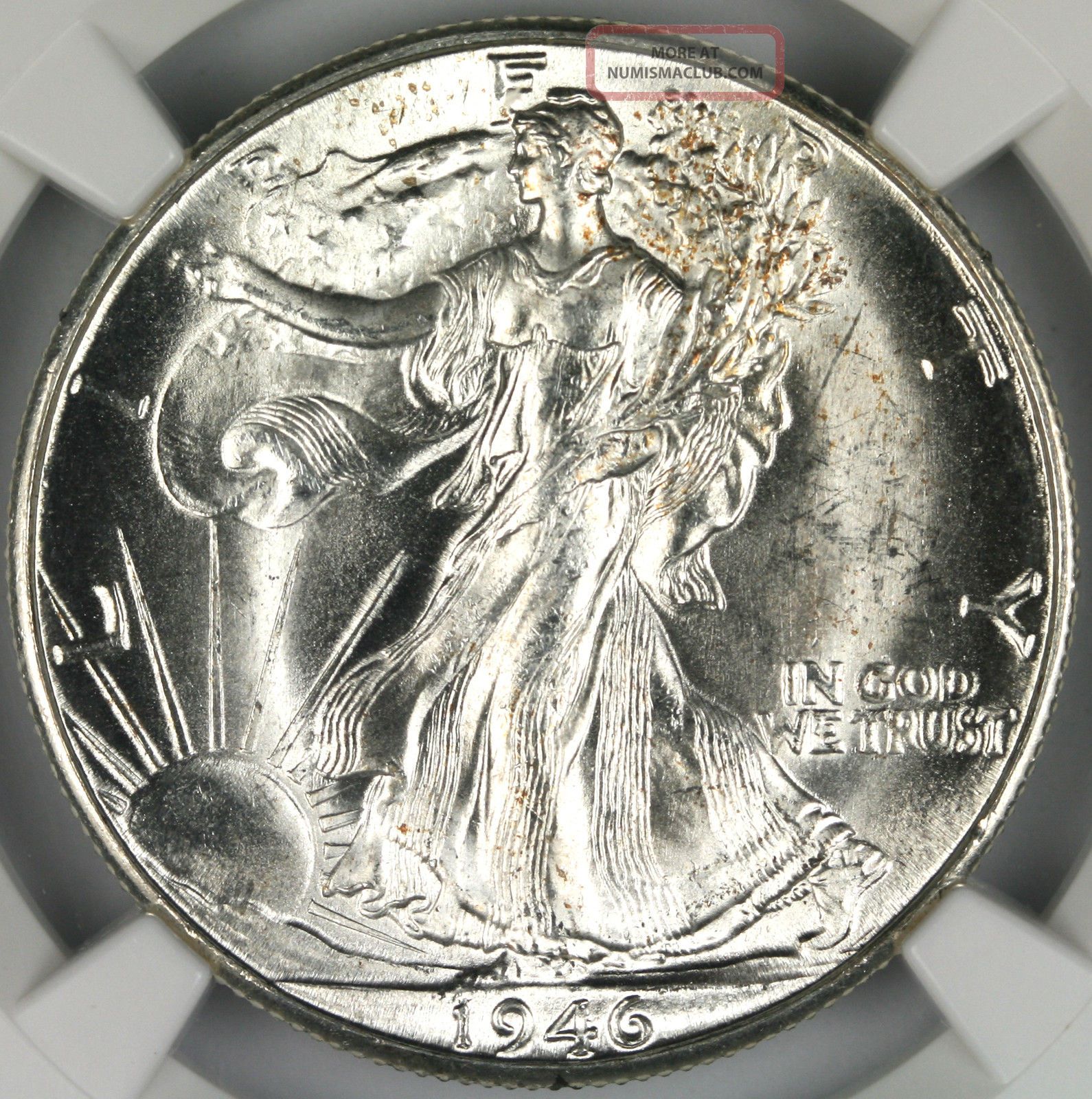 D Walking Liberty Half Dollar C Ngc Ms