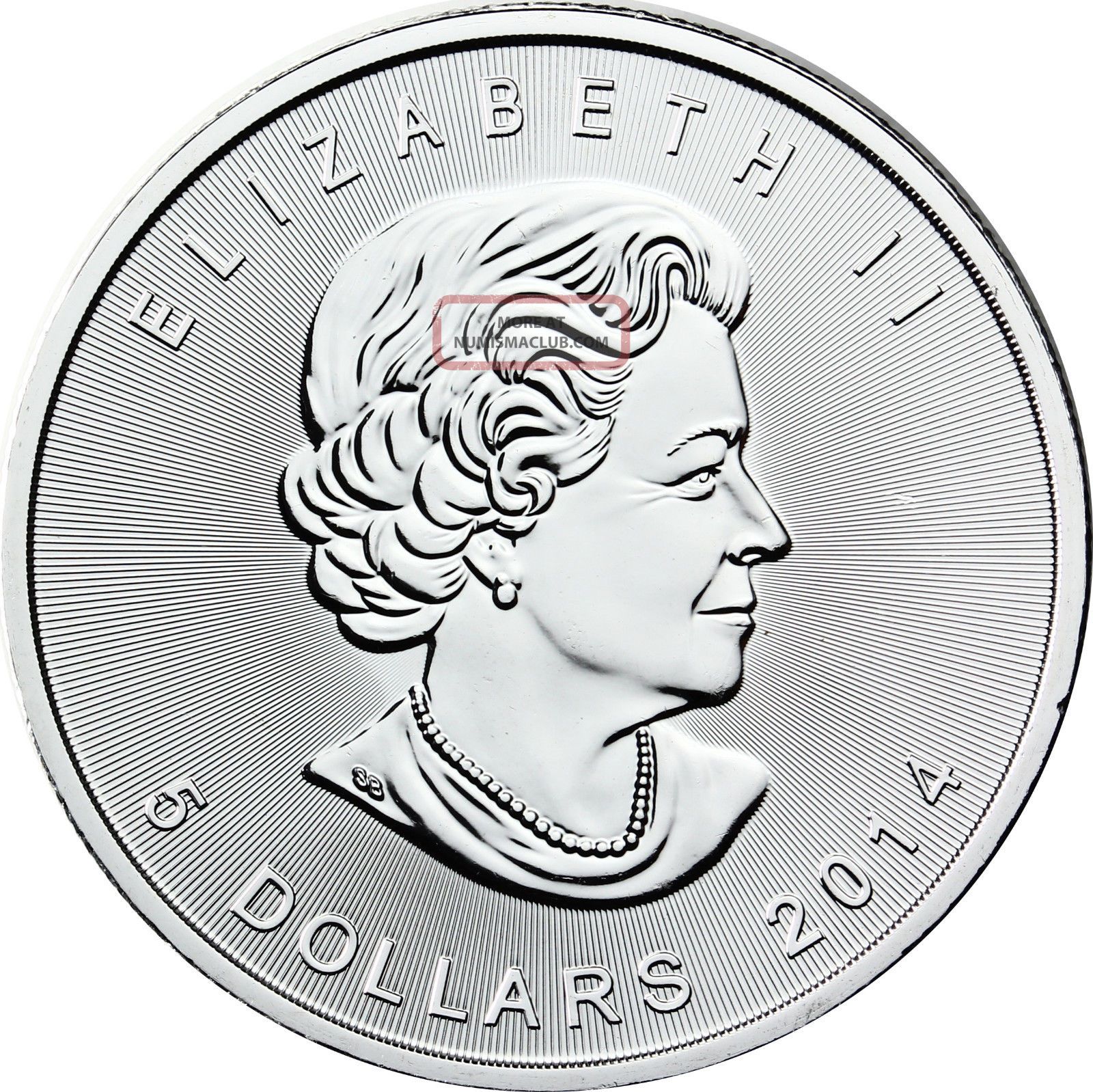 Canada 5 Dollars 2014 Maple Leaf Cougar Colored 1 Oz Silver Coin Canada 5 Dollars 2014 Maple Leaf Cougar Colored 1 Oz Silver Coin