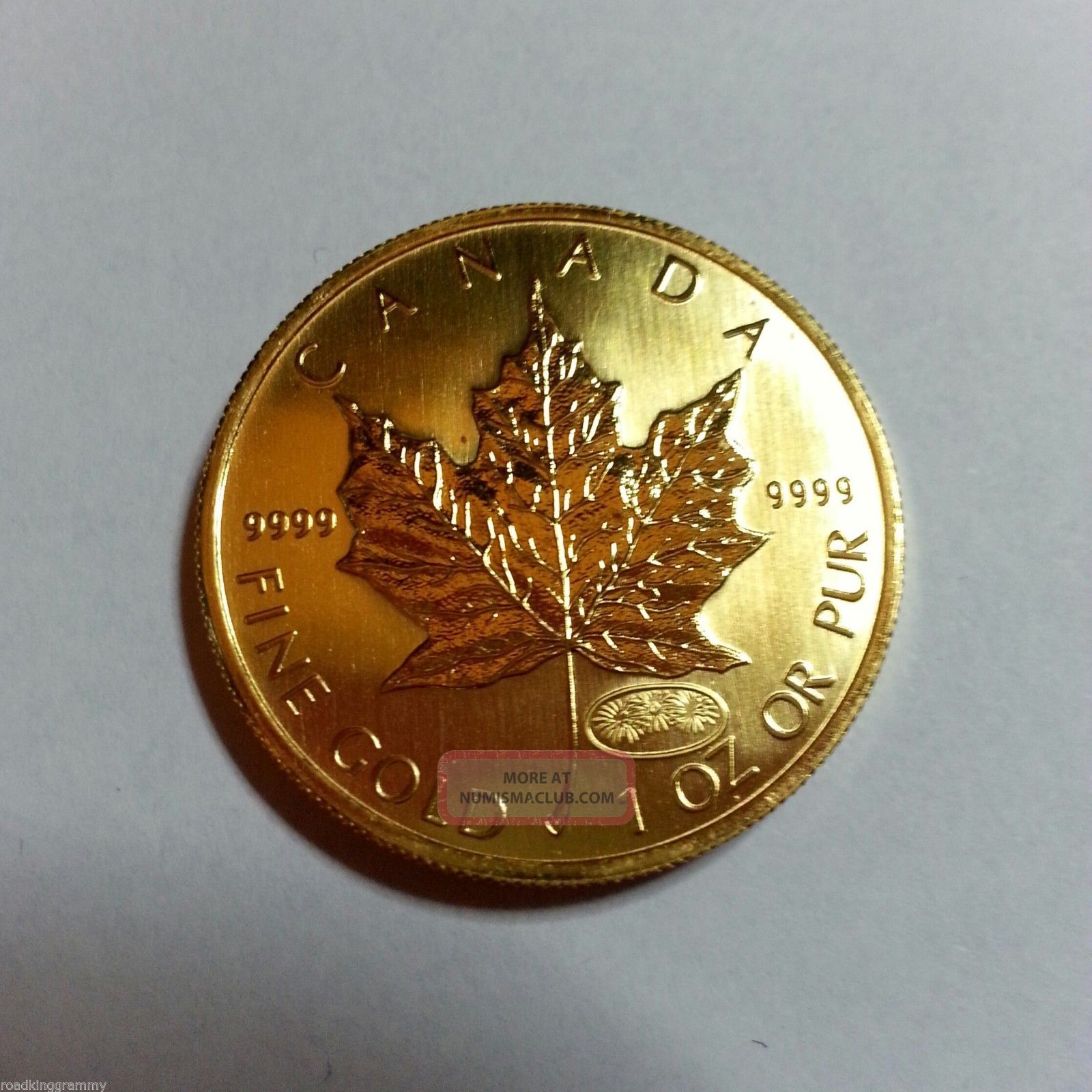 1999 2000 Canada Maple Leaf Gold Coin 50 1oz Elizabeth Ii