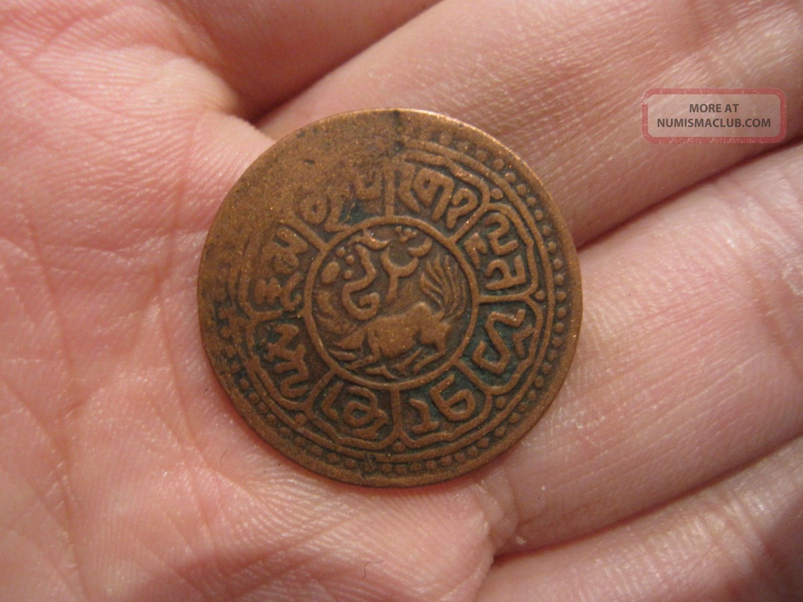 Old Tibet Copper Coin Snow Lion“xue Kang Old Tibet Copper Coin Snow Lion“xue Kang