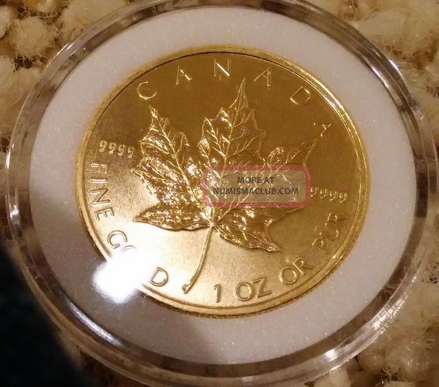 1 Oz Gold Canadian Maple Leaf Coin 2009 State 1 Oz Gold Canadian Maple Leaf Coin 2009 State