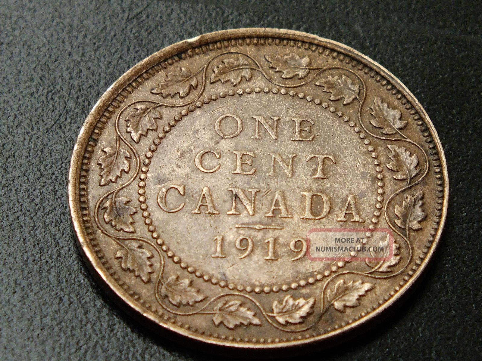 1919 Canadian Large Cent The Coin Pictured You Will Receive 1919 Canadian Large Cent The Coin Pictured You Will Receive