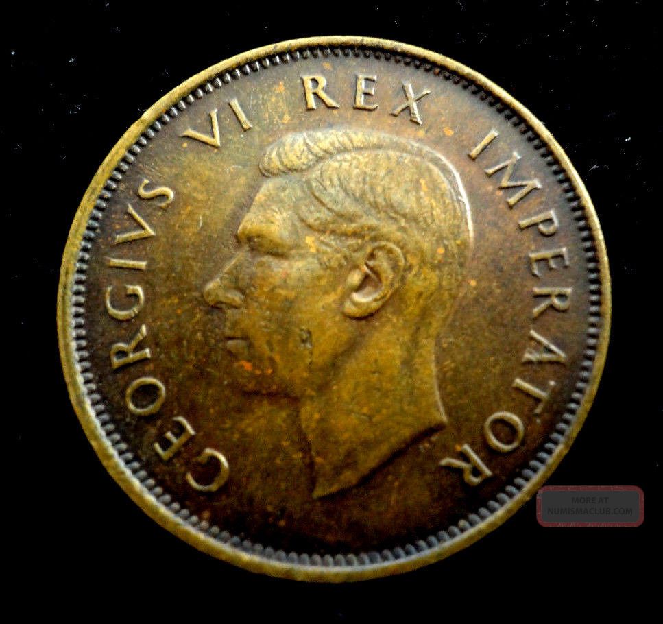 1942 South Africa Half Penny 1 2p Choice Premium Quality 1 1942 South Africa Half Penny 1 2p Choice Premium Quality 1