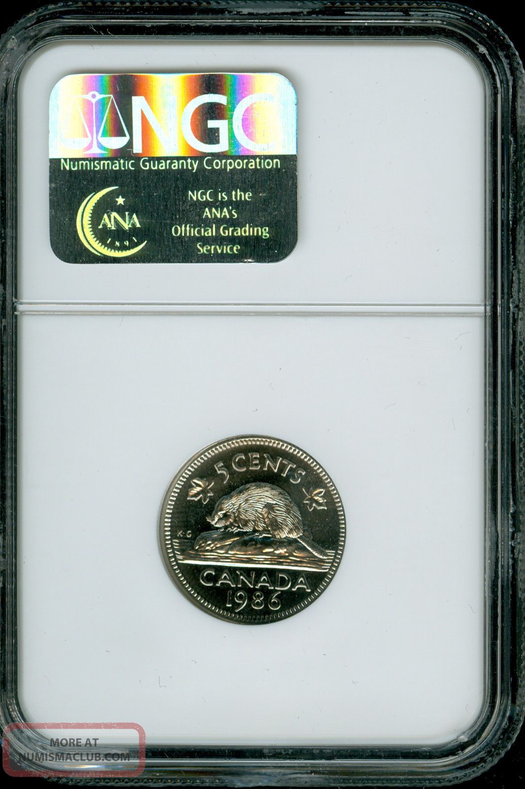 1986 Canada 5 Cents Ngc Sp68 Proof 2nd Finest Graded