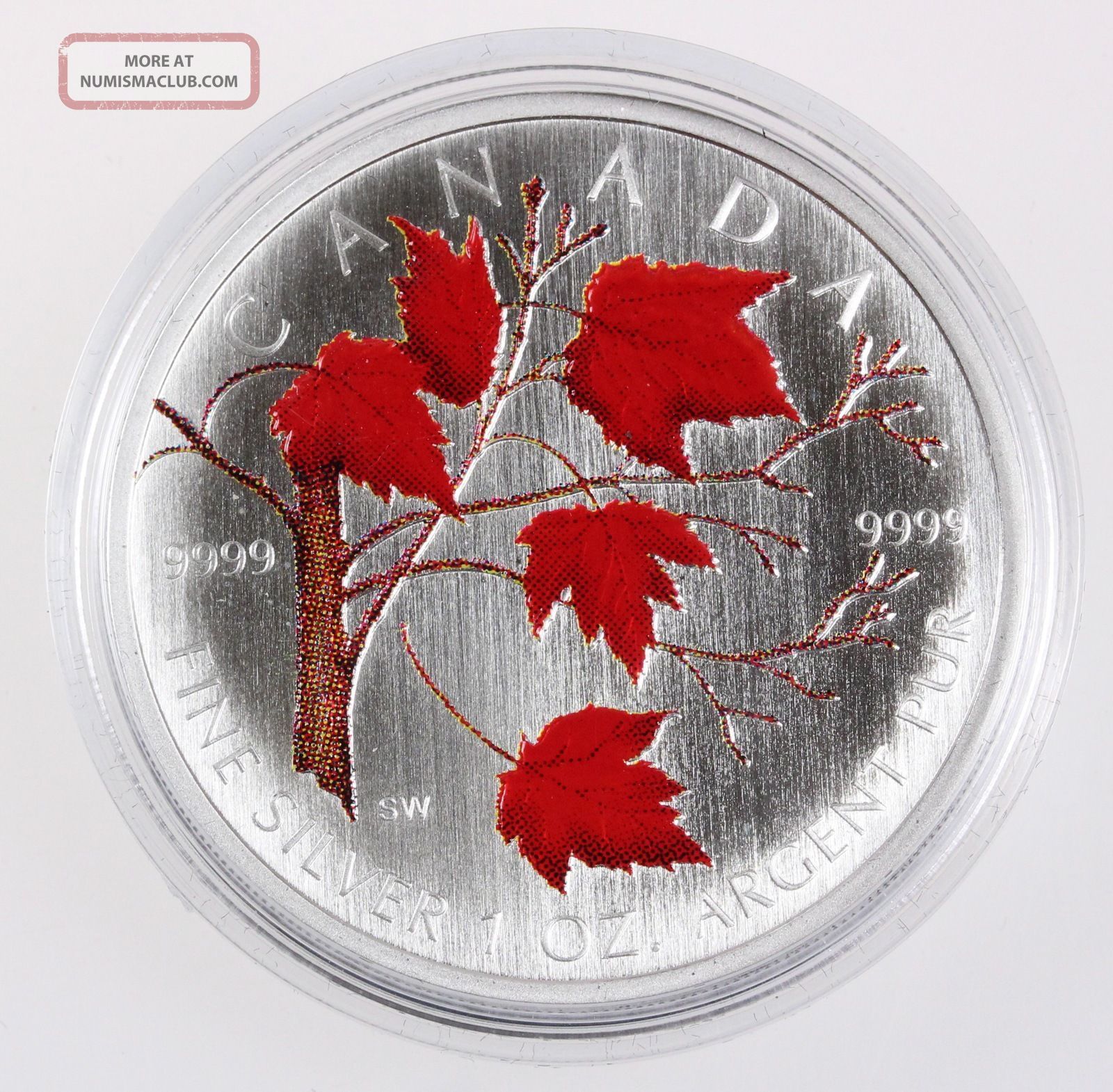 2004 Canada $5 Silver Maple Leaf Colored Coin W/ Ogp - Low Mintage