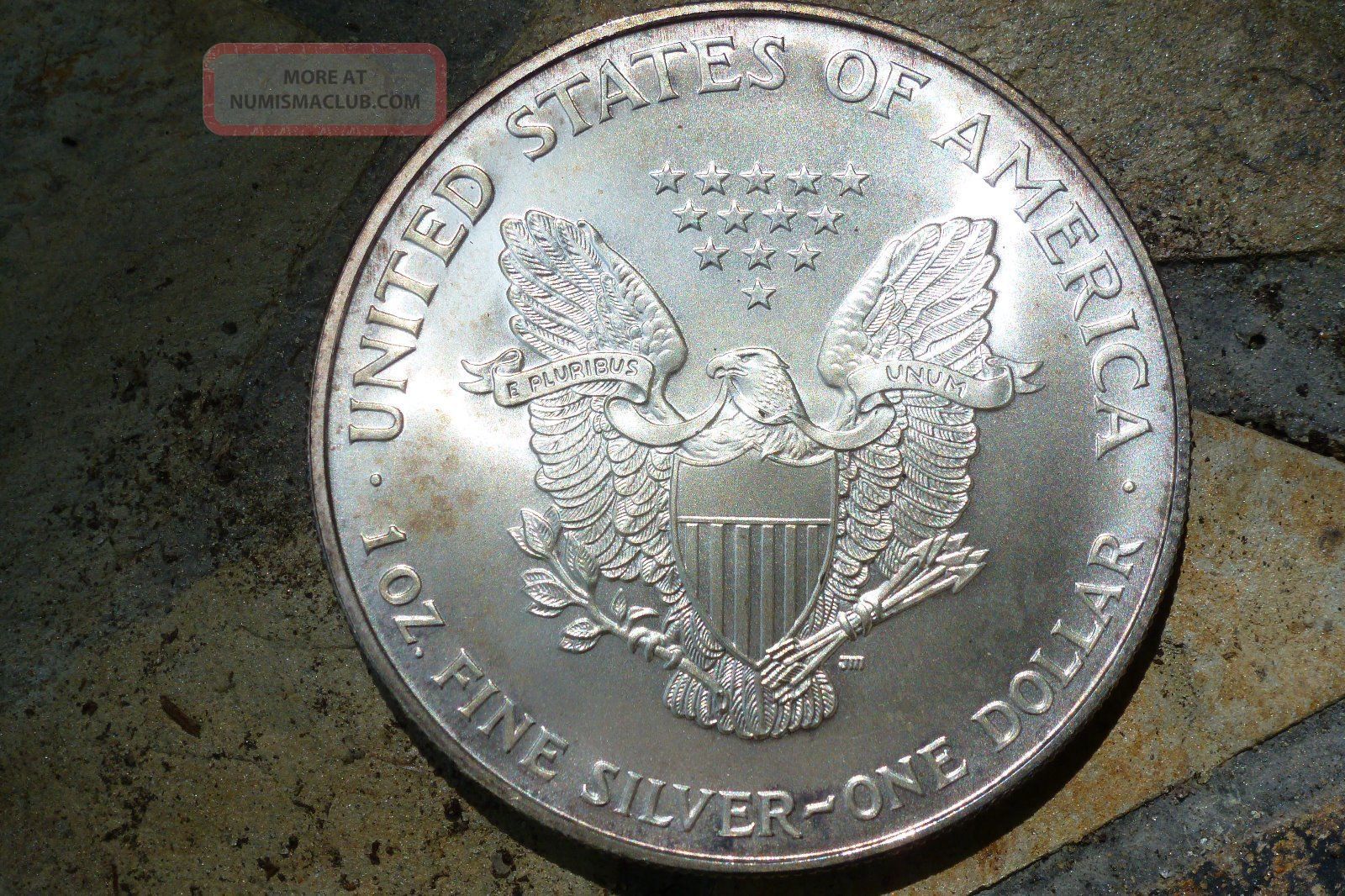 Silver Eagle Coin 1995