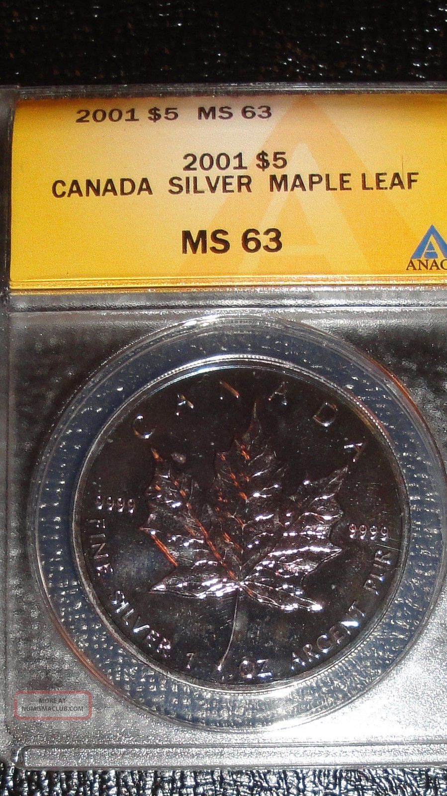 2001 $5 Blue Silver Maple Leaf. Buried 10 Years Toned Blue & Purple Ms - 63