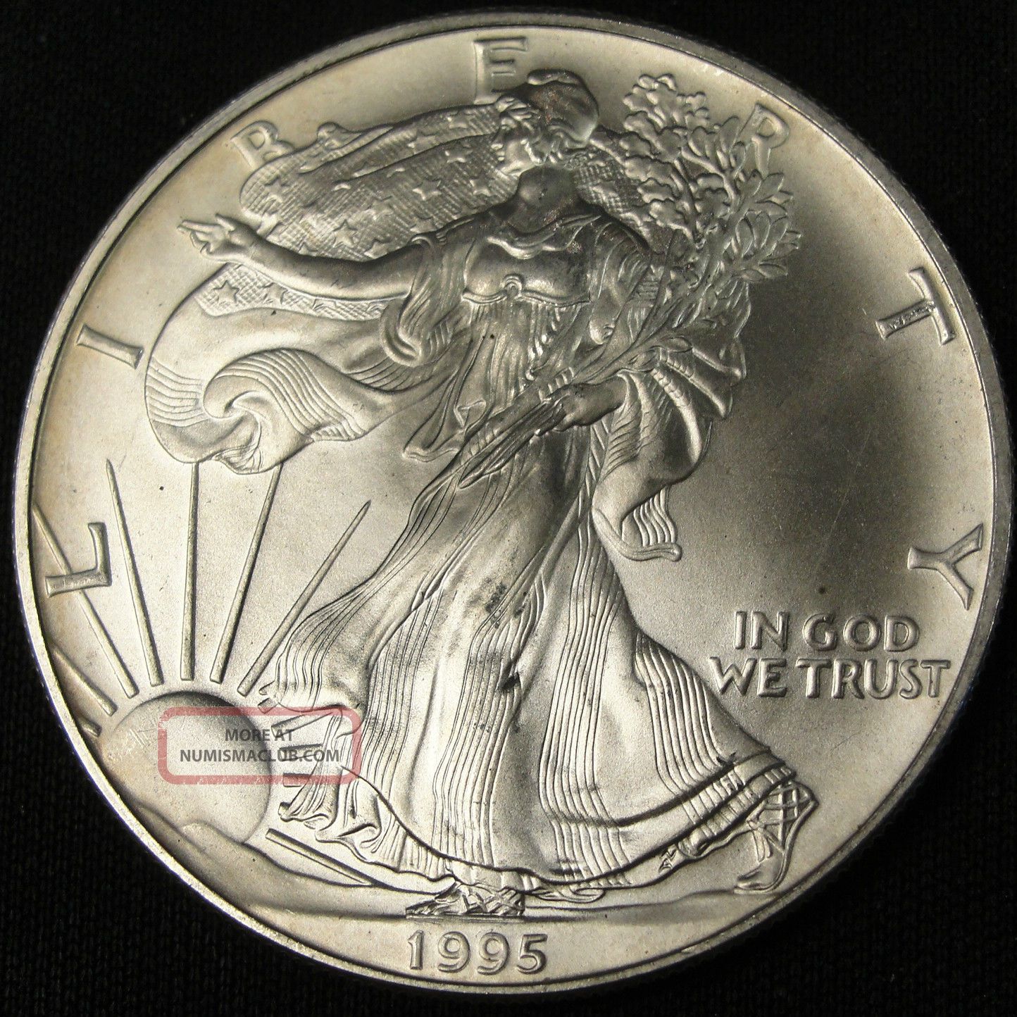 1995 American Silver Eagle Bullion Coin Key Date Investment Grade 1 Oz ...