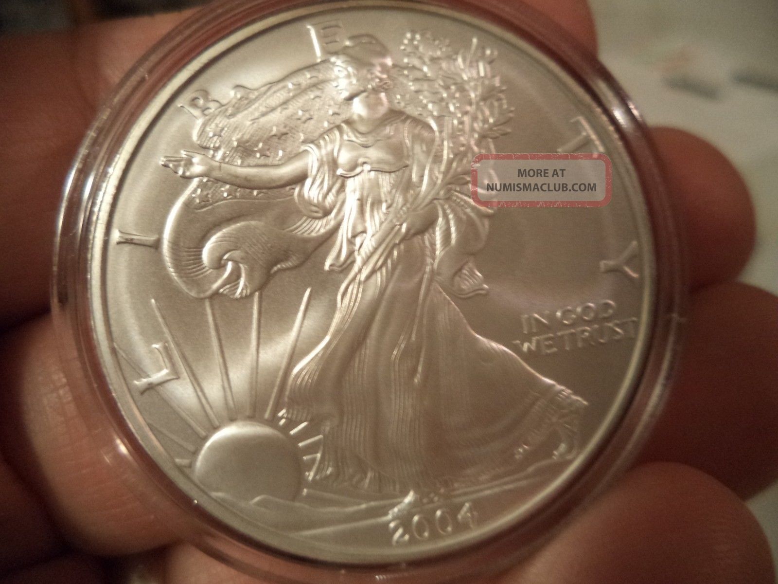2004 Silver American Eagle Coin With