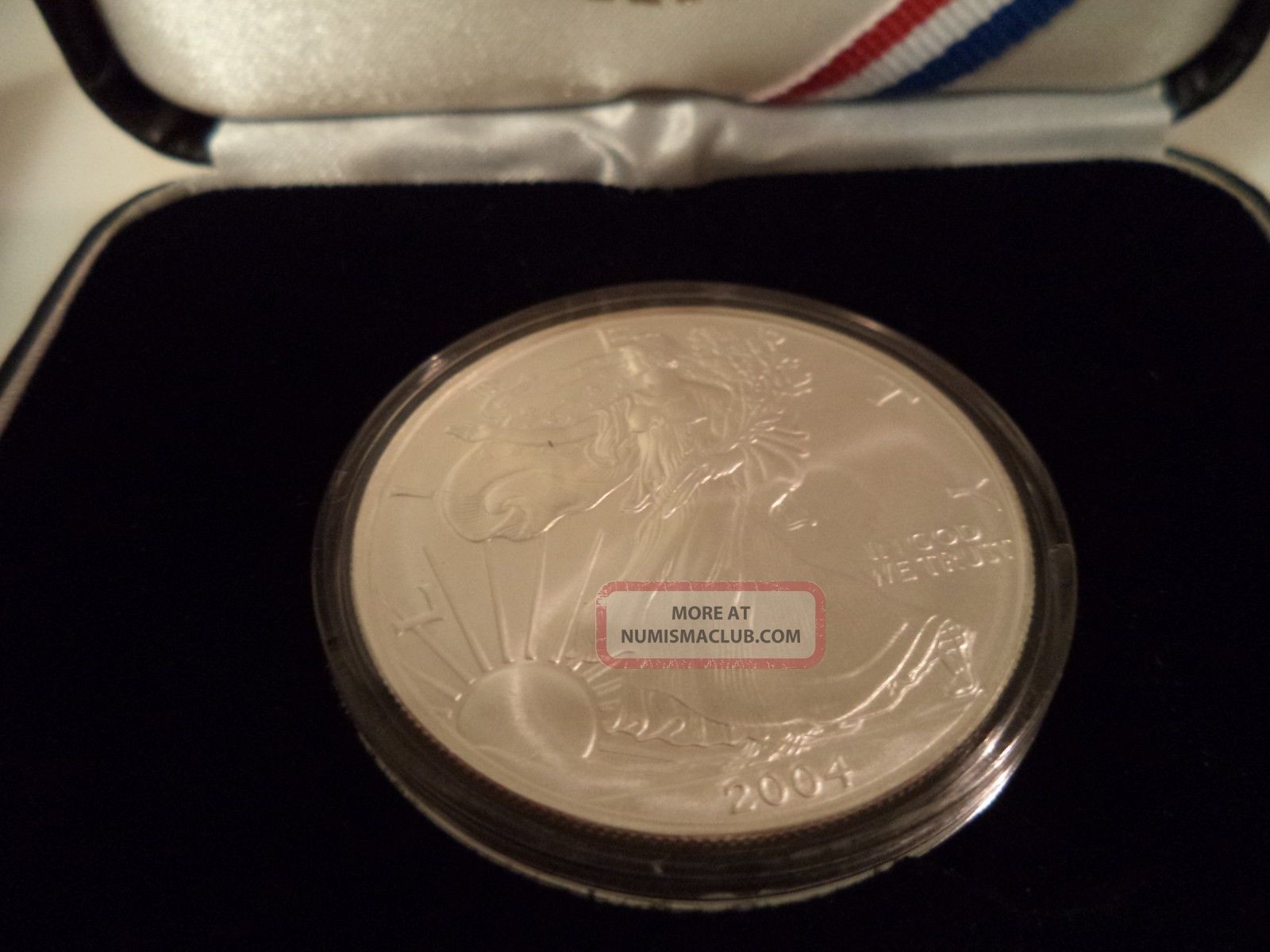 2004 Silver American Eagle Coin With