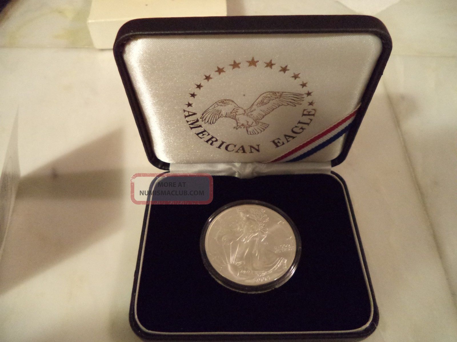 2004 Silver American Eagle Coin With