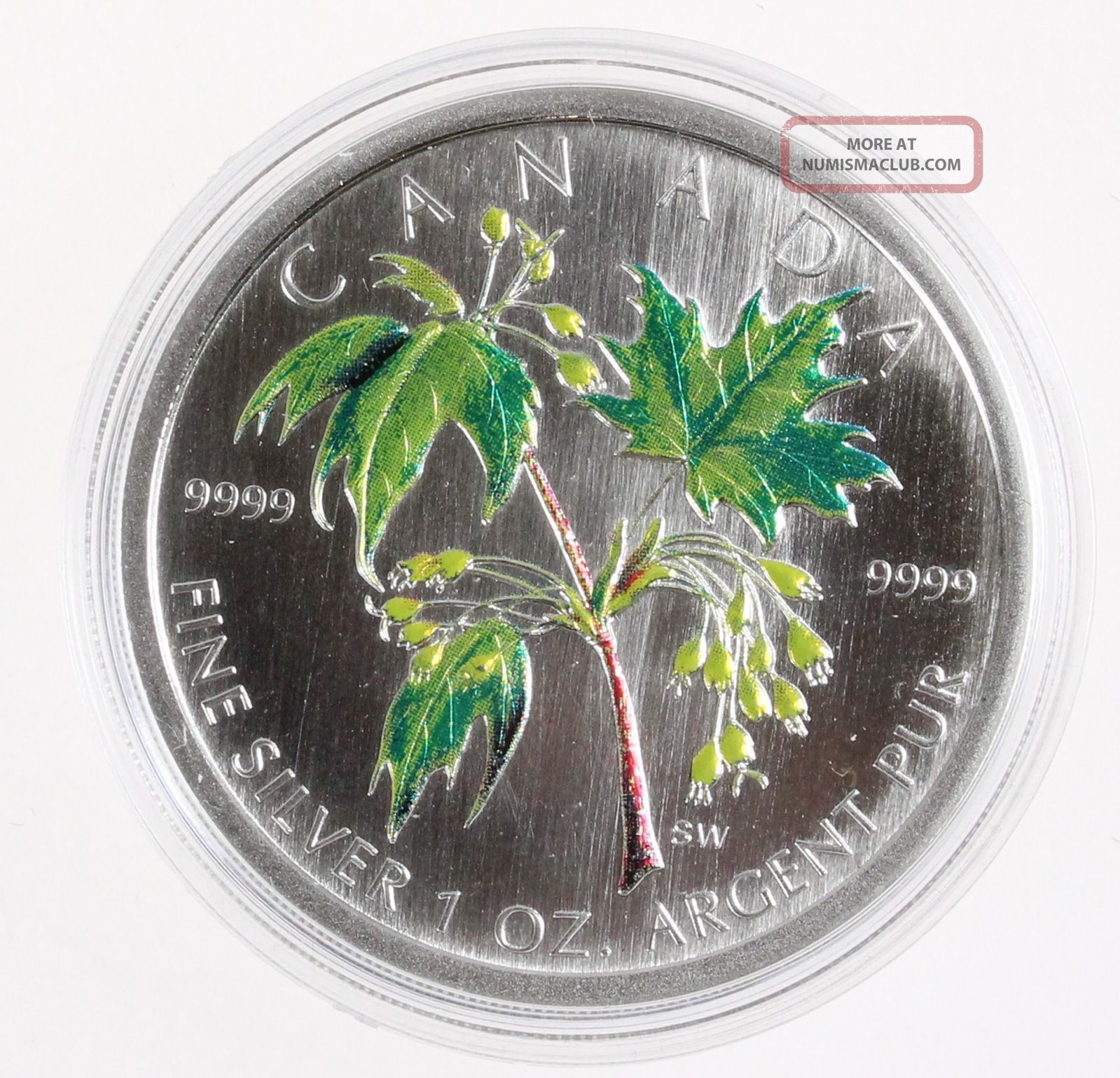 2003 Canada $5 Maple Leaf Colored Coin W/ Ogp