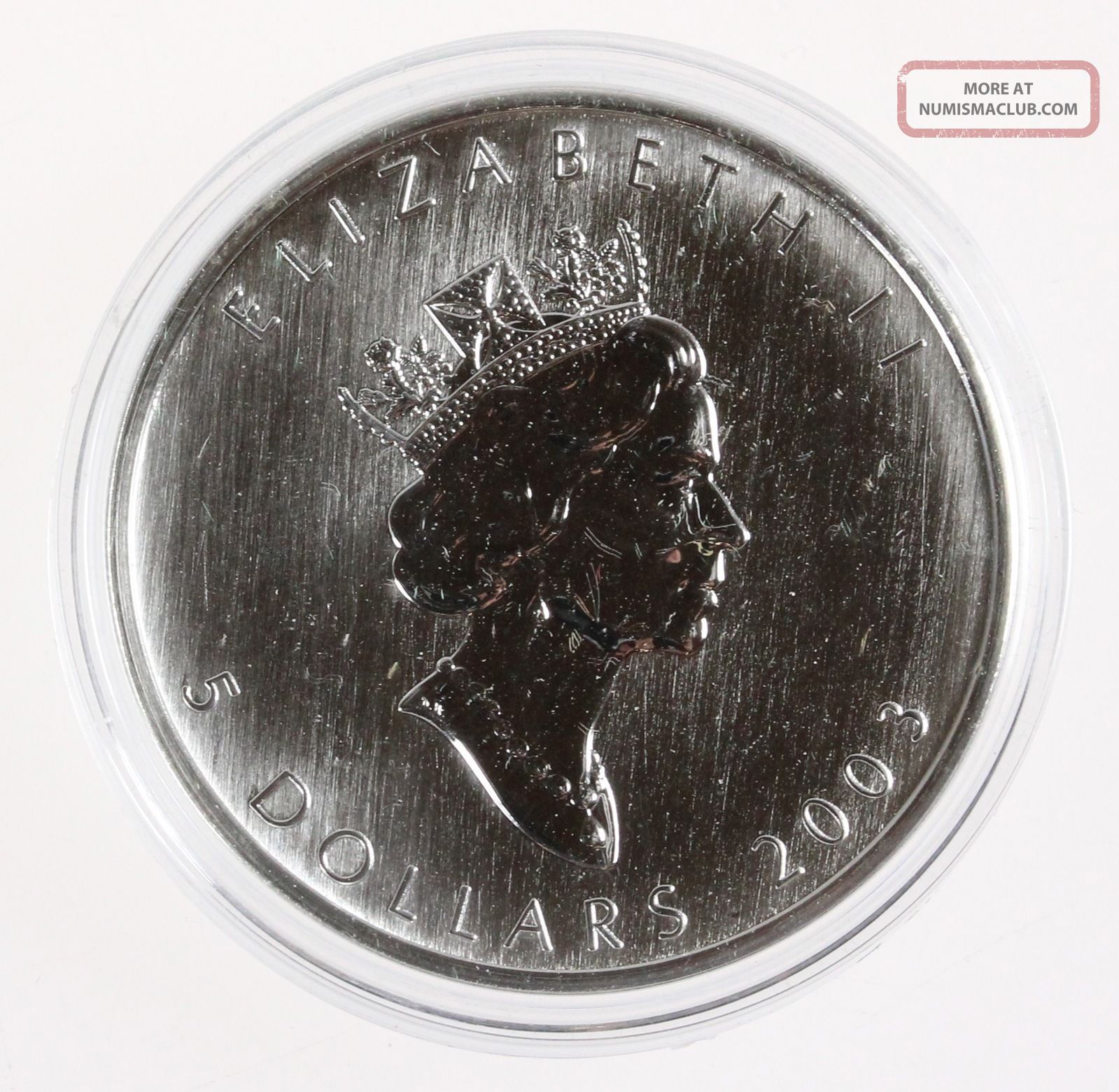 2003 Canada $5 Maple Leaf Colored Coin W/ Ogp