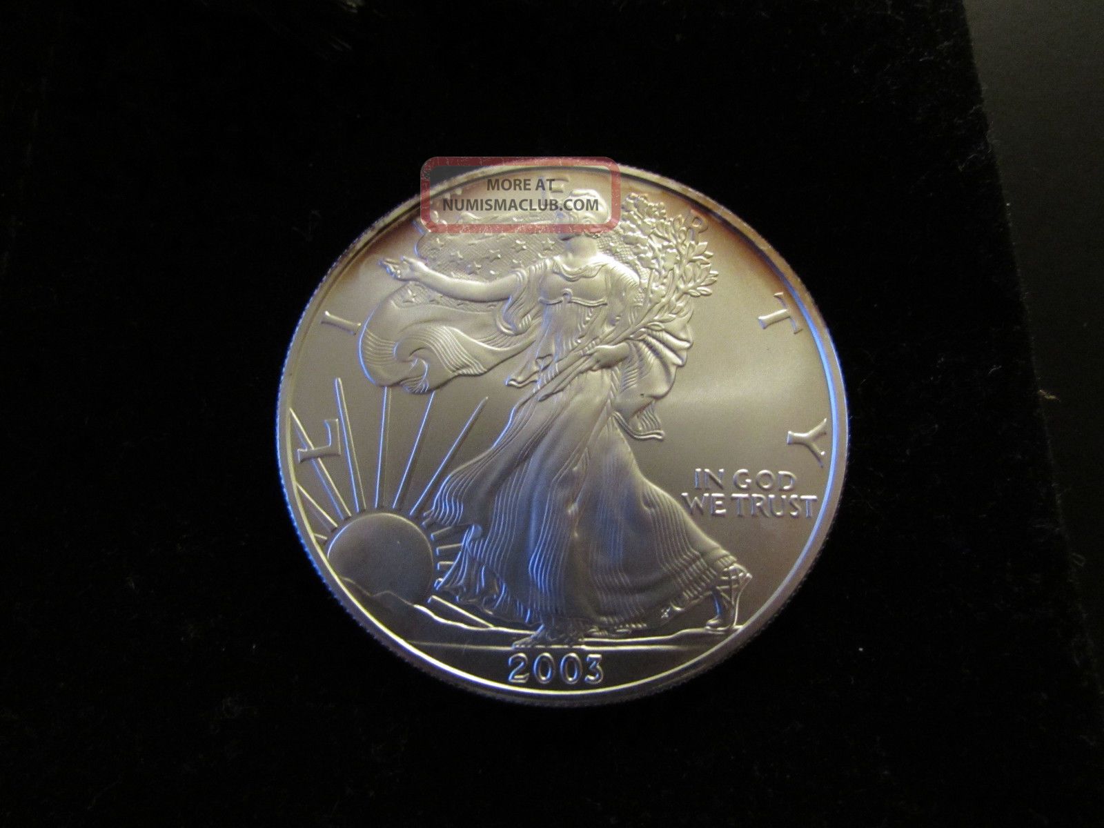 1 Oz. 999 Fine Silver Round Liberty Dollar 2003