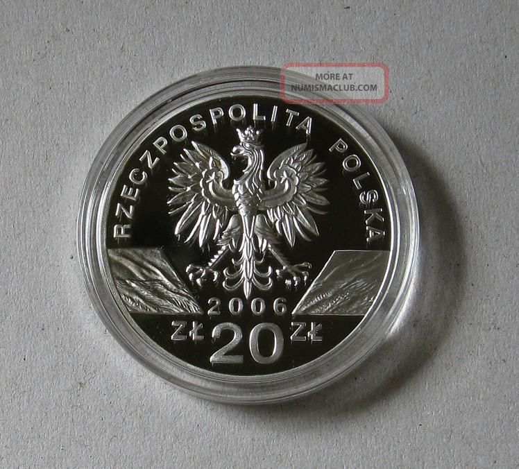Polish 2006 Big Silver Coin Marmot (swistak) - Series: Animals Of The World