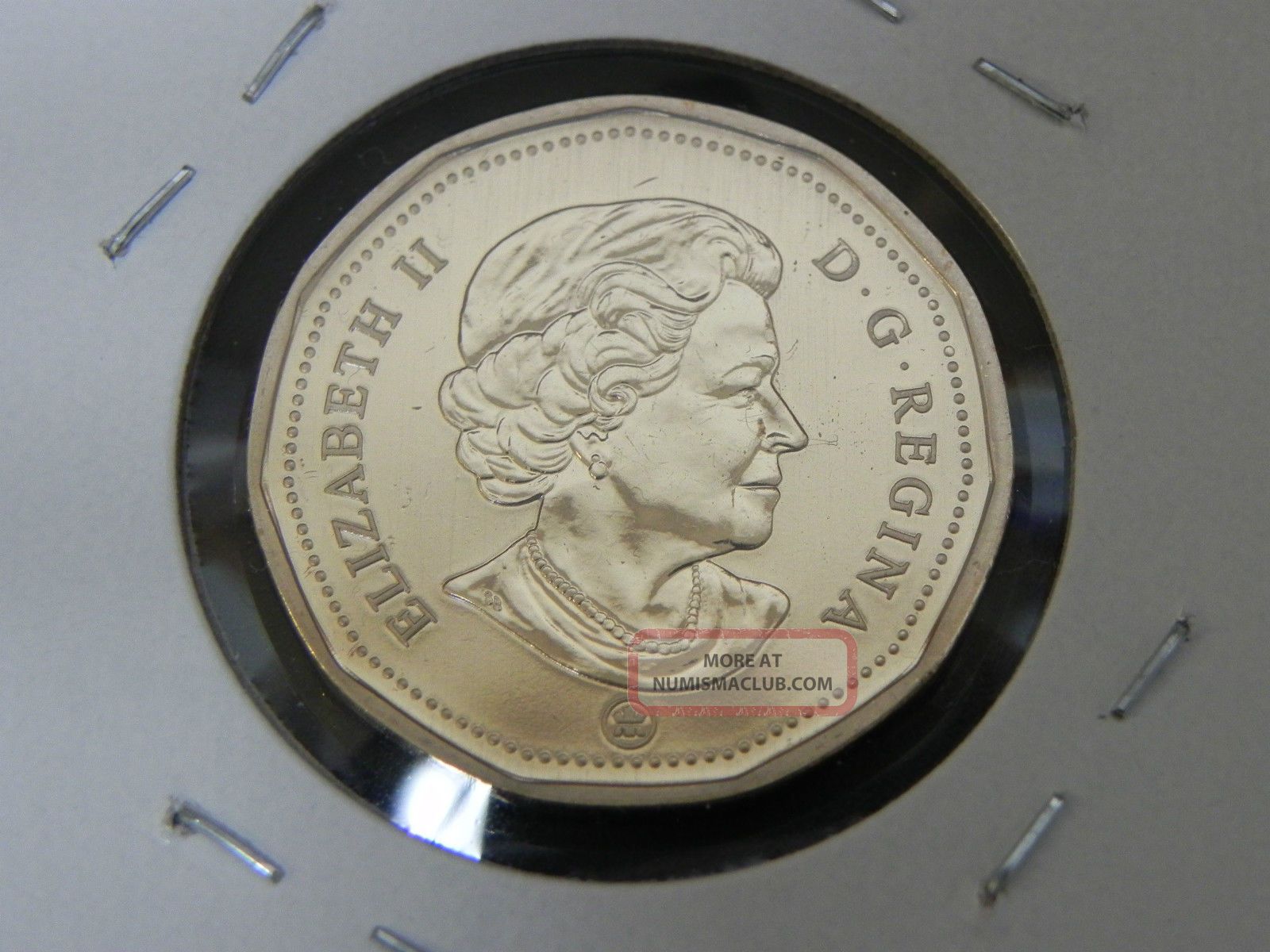 2008 Specimen Unc Canadian Canada Common Eider Loonie One $1 Dollar