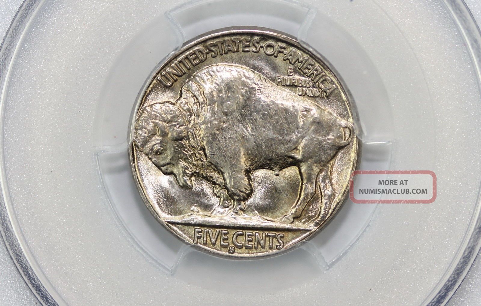 1929 S Buffalo Nickel Ms 65 Pcgs (7568)