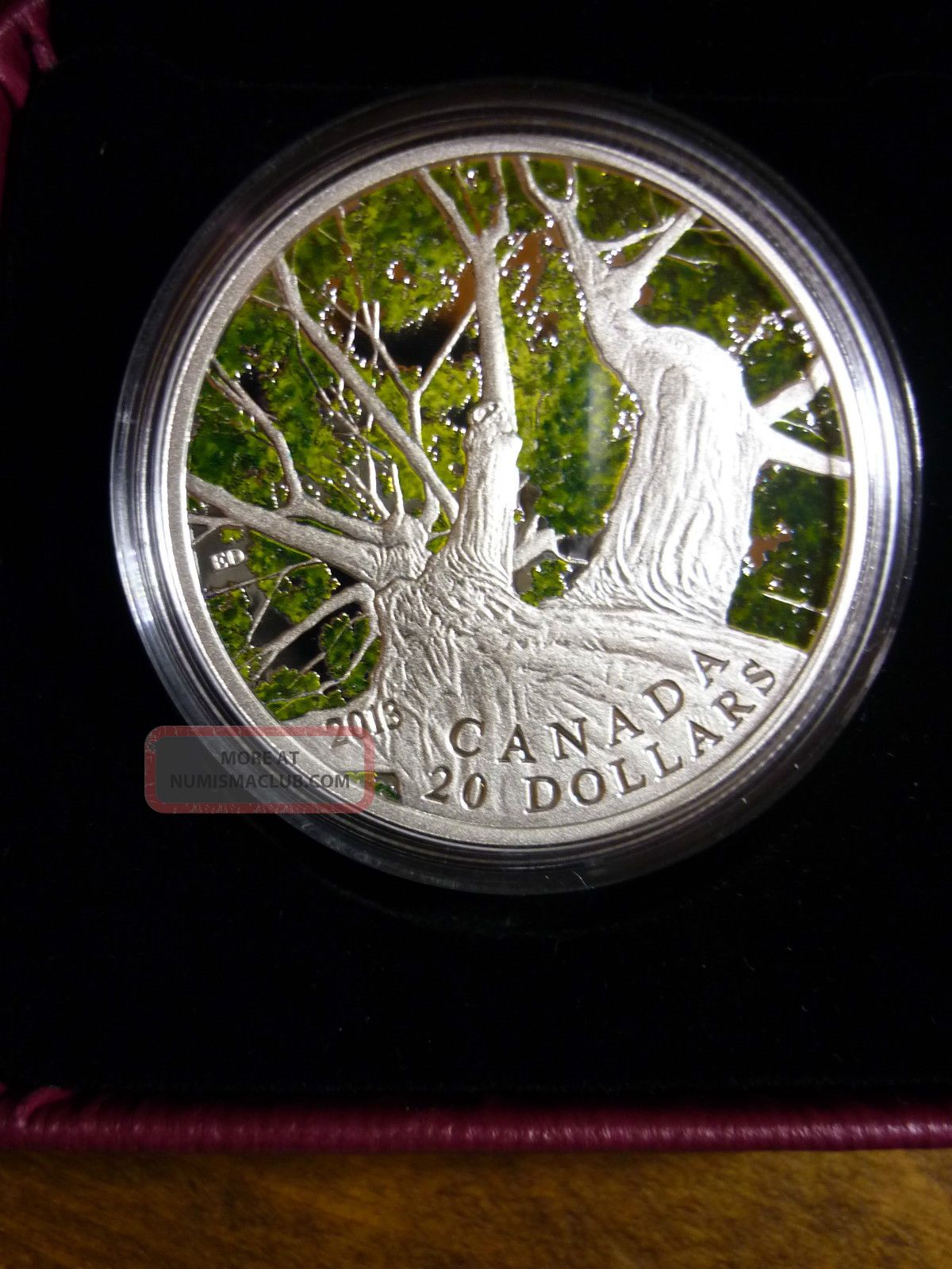 Canada 9999 Pure Silver - Canadian Maple Canopy Coin (spring) (2013)