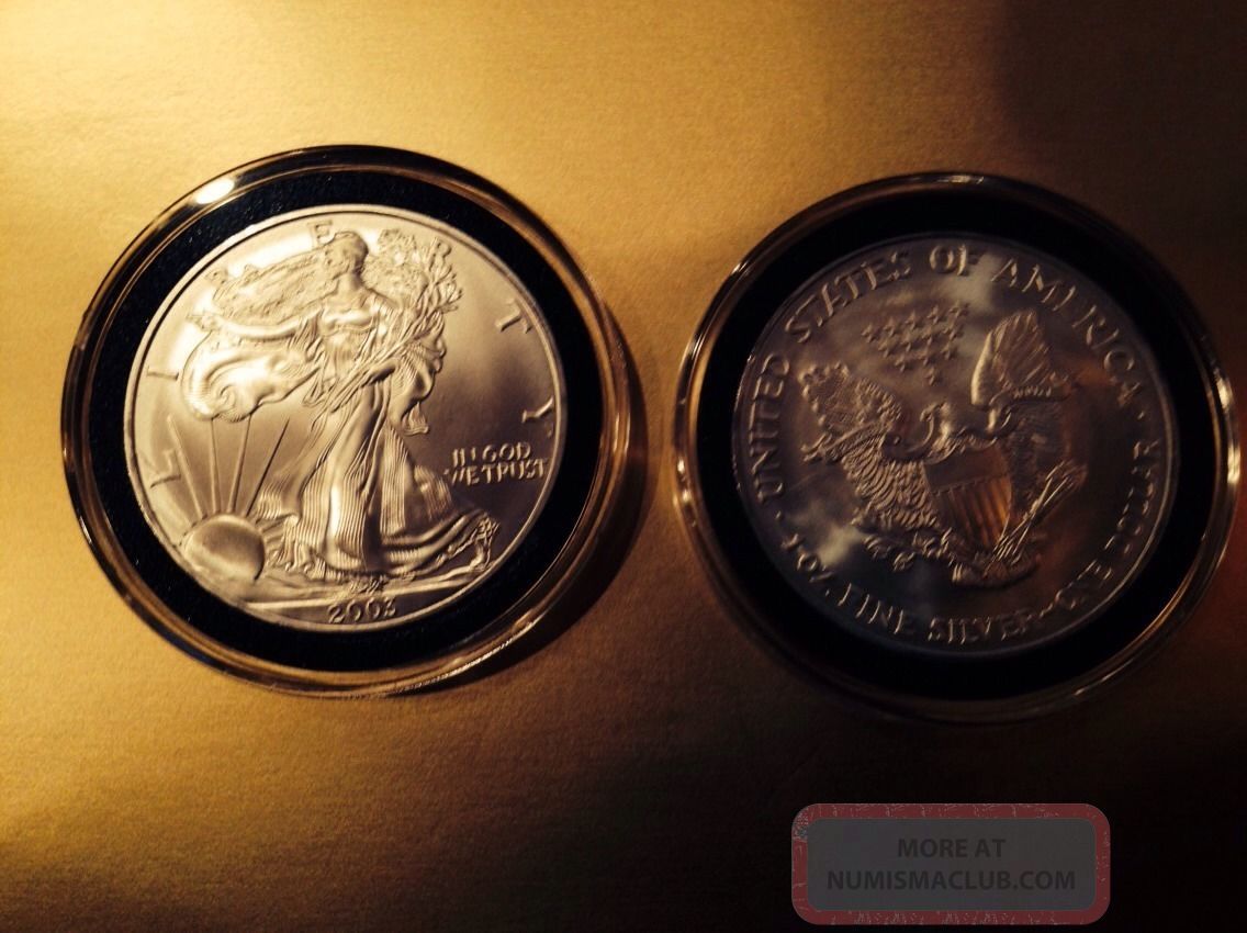 2003 Silver Eagle One Dollar Coin