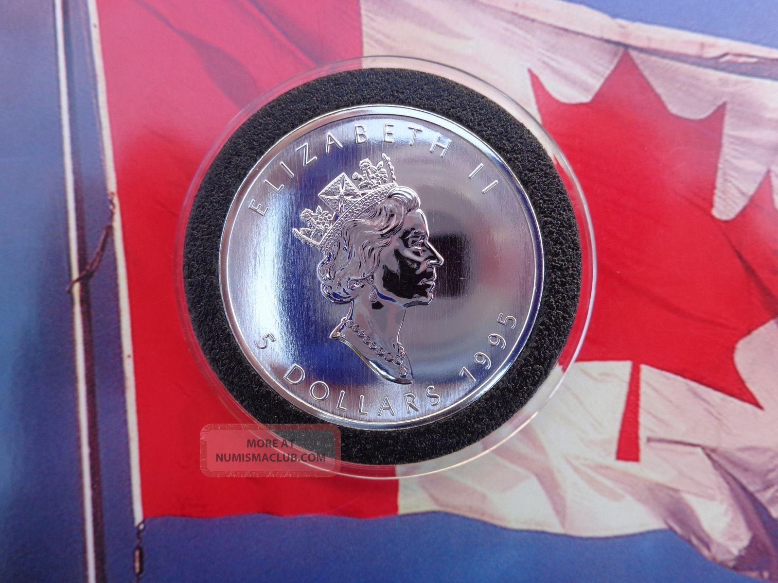 1995 Canadian Maple Leaf Coin. 9999 Fine Silver