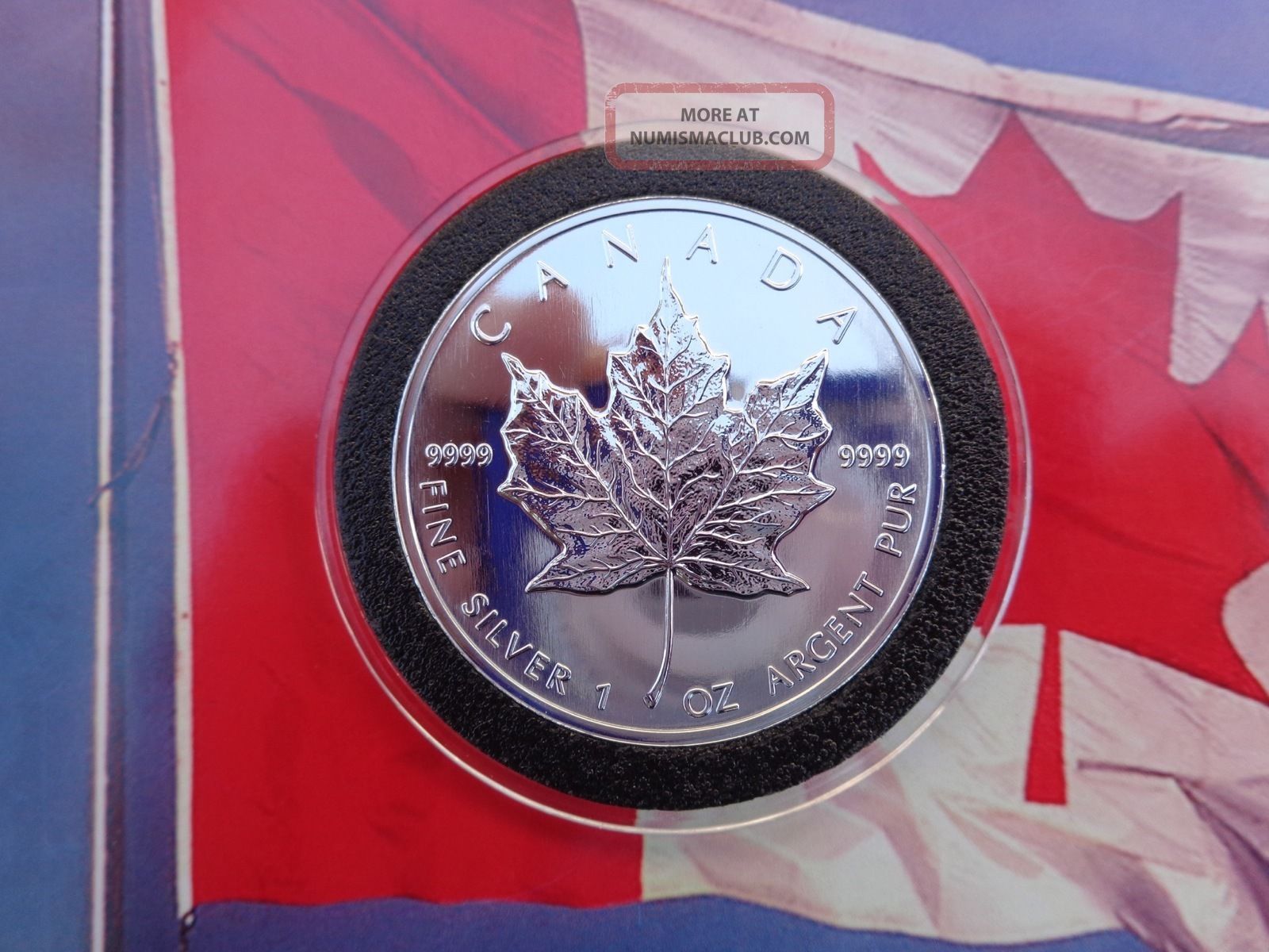 1995 Canadian Maple Leaf Coin. 9999 Fine Silver
