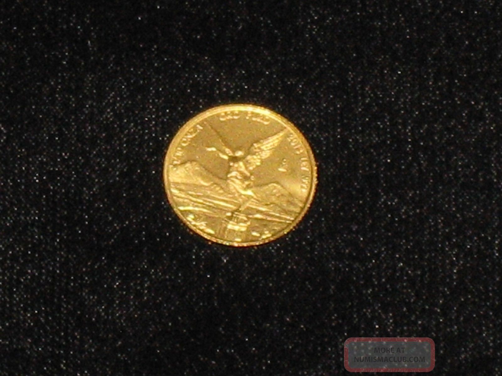 2013 Gold Mexico Libertad - 1/10 Oz Pure Gold (g - 120)