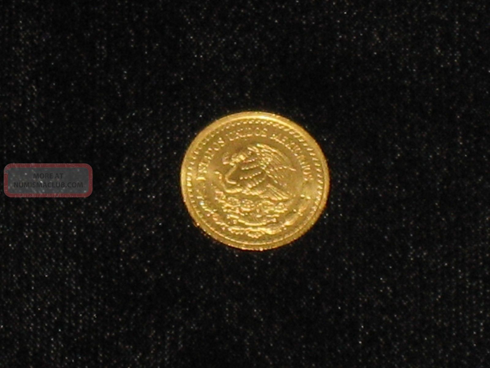 2013 Gold Mexico Libertad - 1/10 Oz Pure Gold (g - 120)