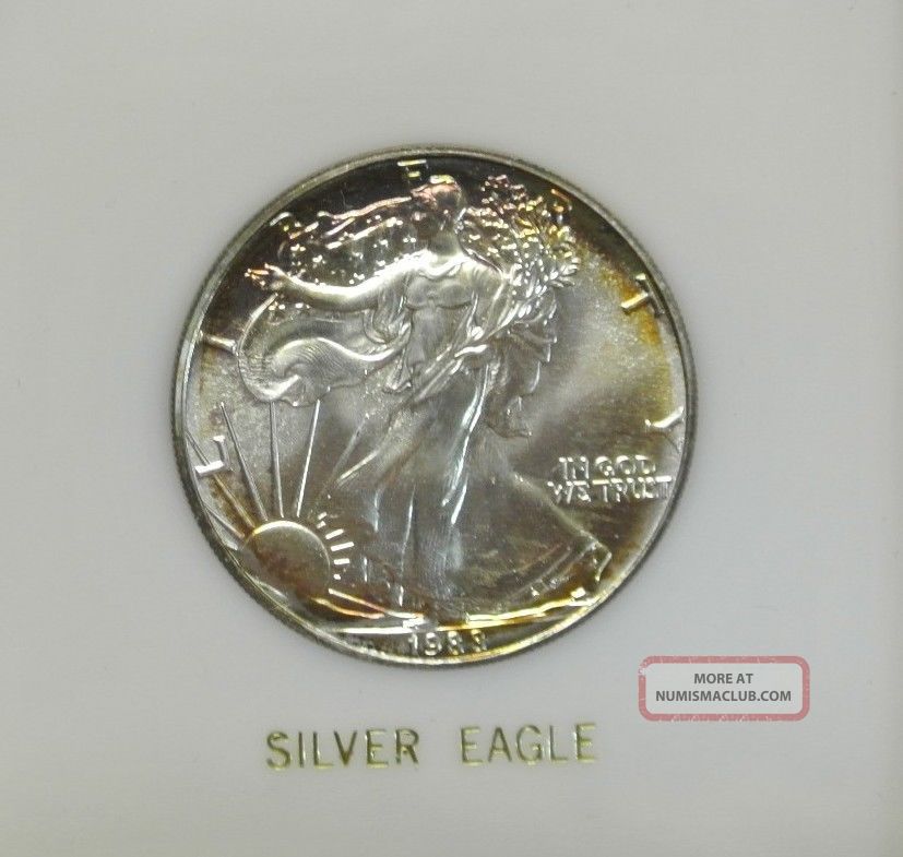 1988 1 Oz Silver American Eagle Coin - Nicely Toned Brilliant ...