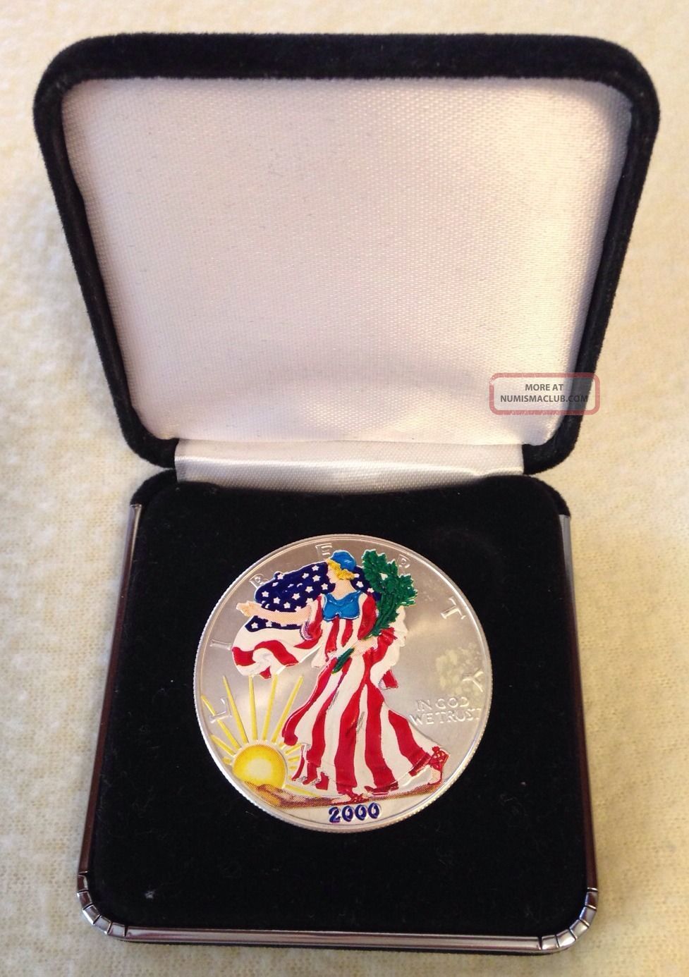 2000 Silver Eagle Colorized
