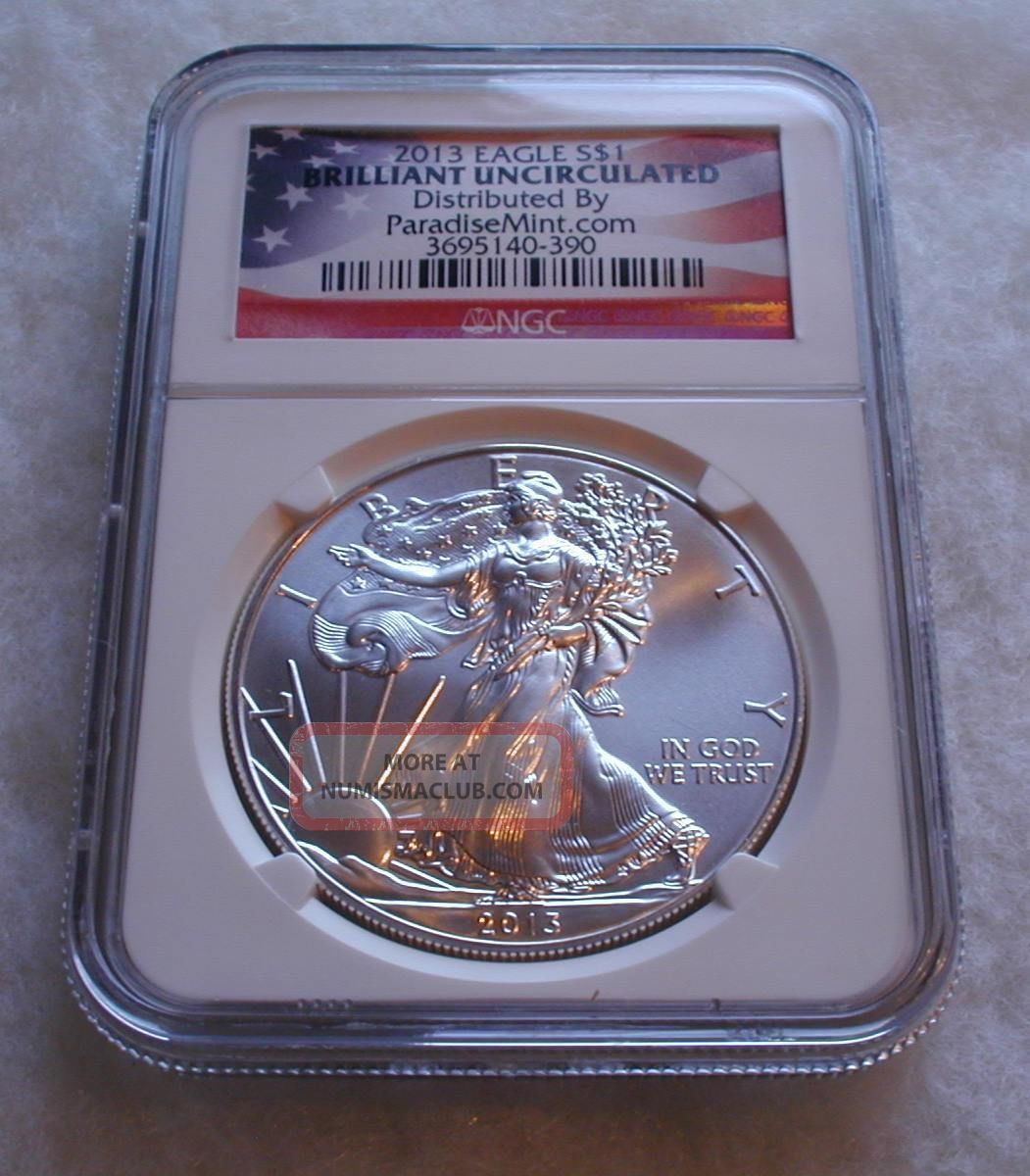 2013 American Silver Eagle. $1 Coin, 1 Oz Silver, Ngc Certified, Flag ...
