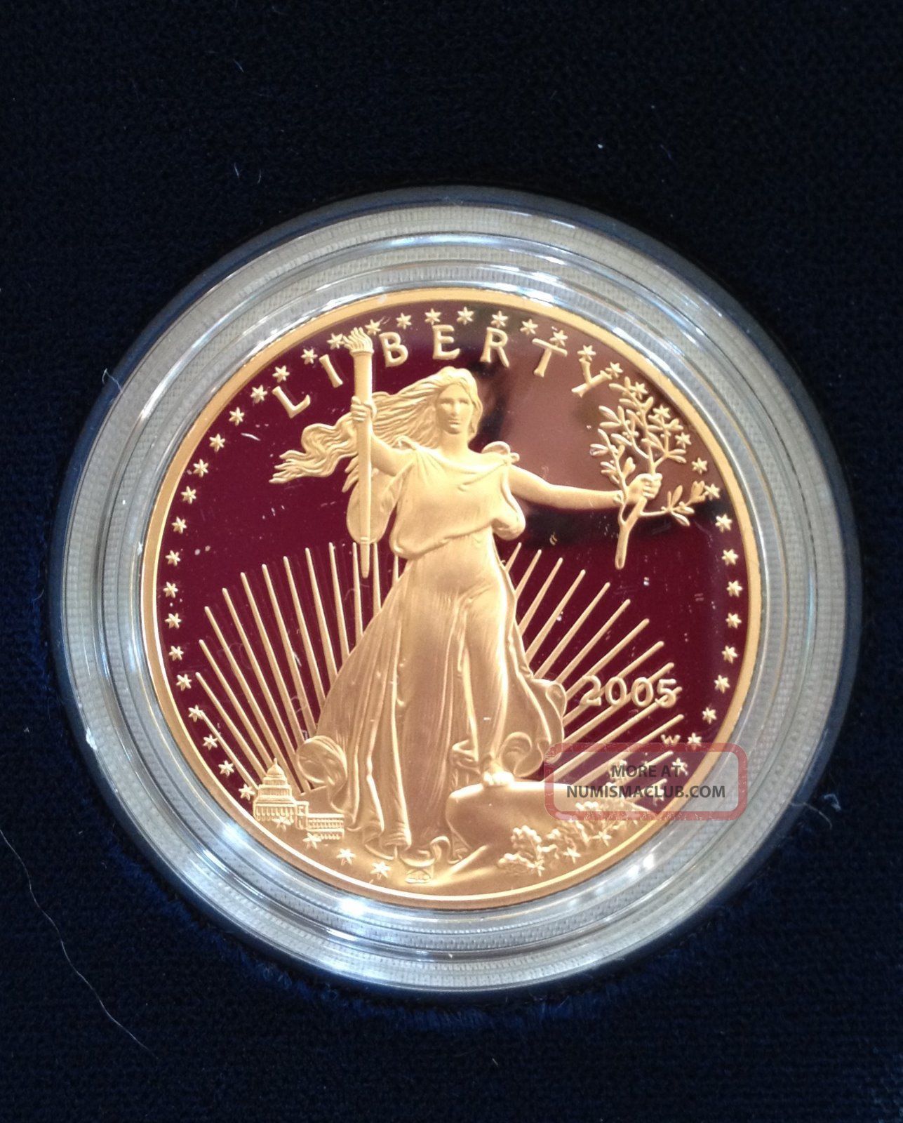 2004 American Eagle Gold Bullion 1 Oz. Proof Coin, Brilliant Uncirculated