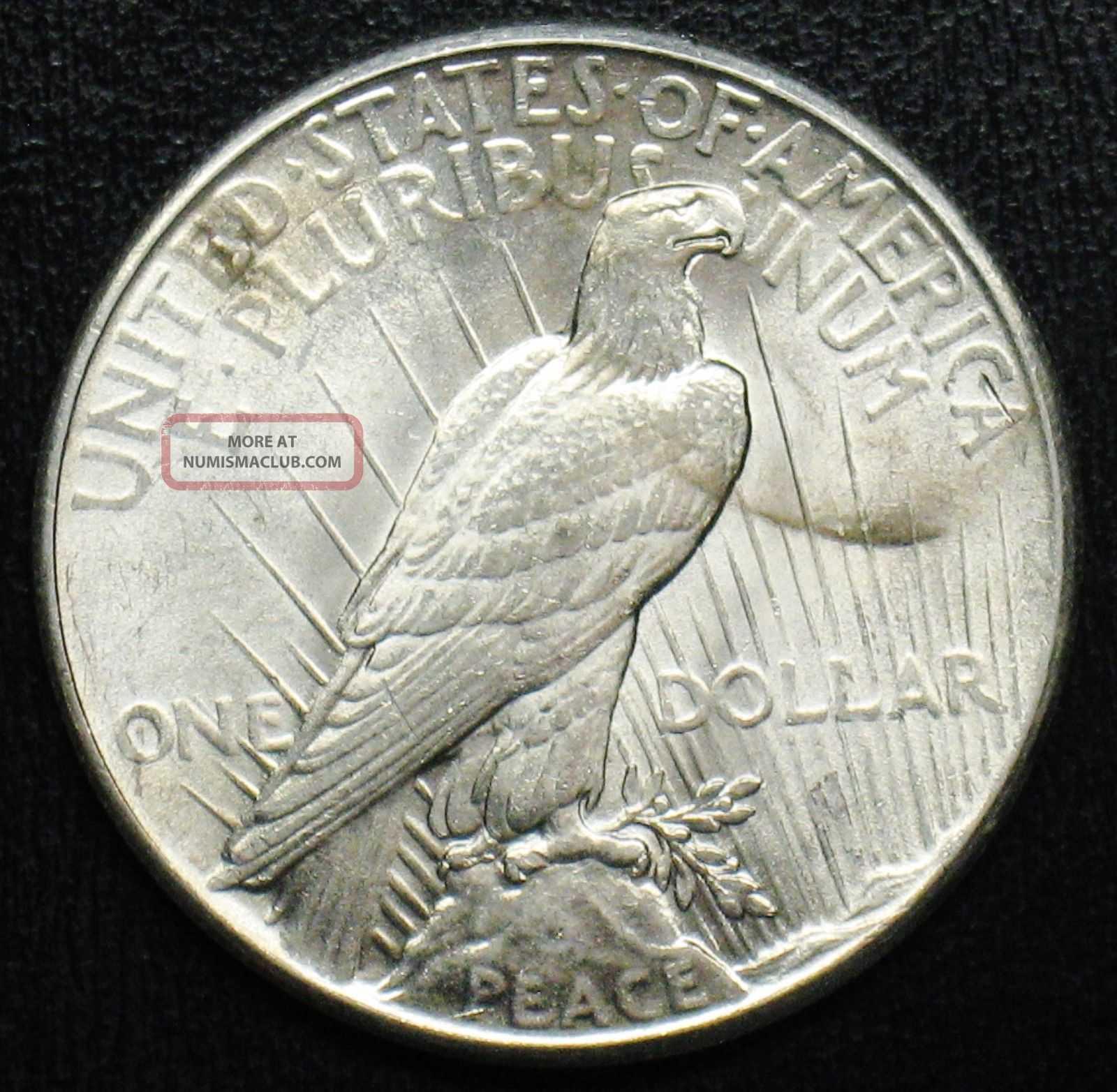 1926 Peace Silver Dollar Grading Gem Bu L696