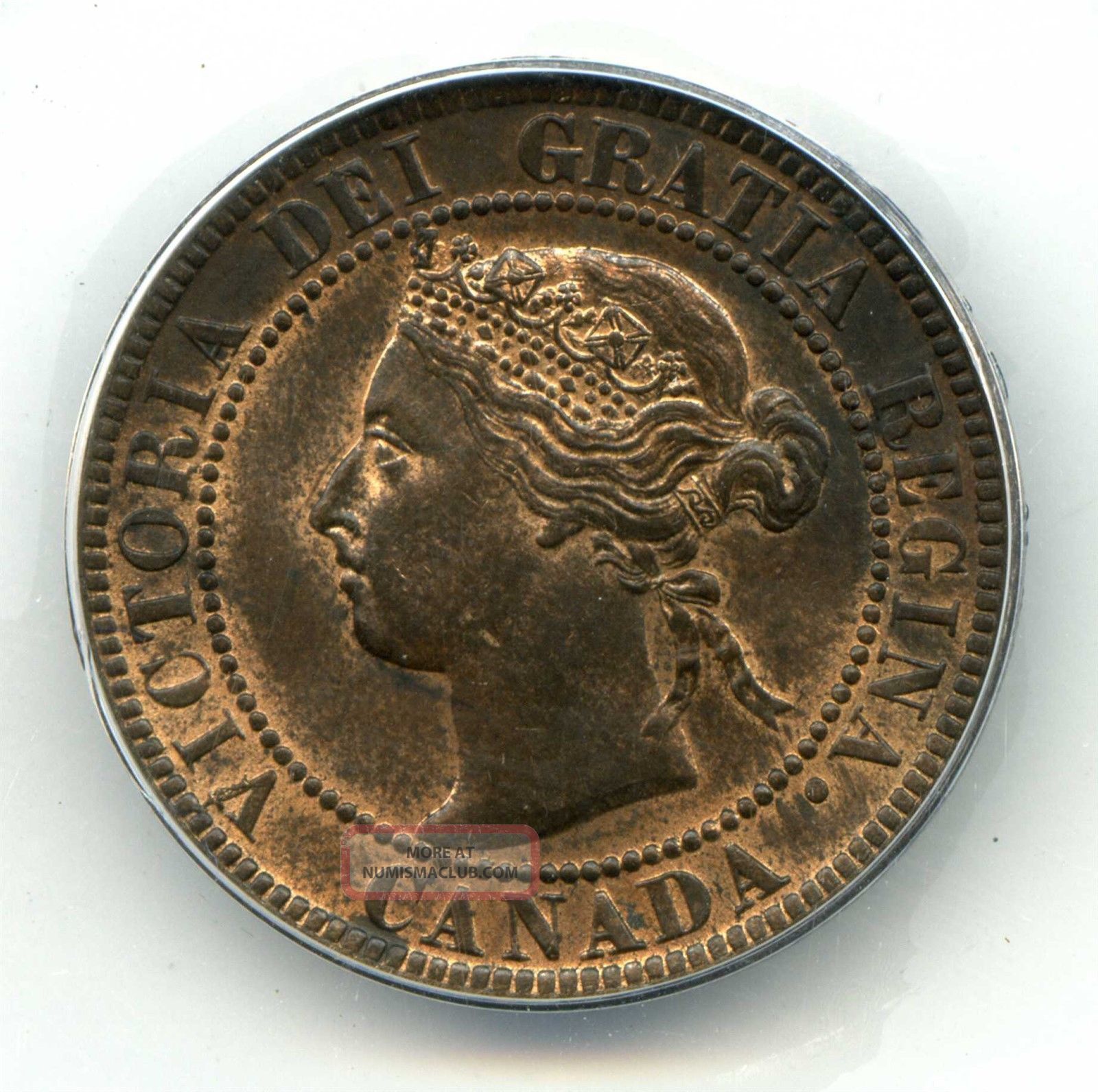 1896 Anacs Ms63rb Canada One Cent 1c Red Brown