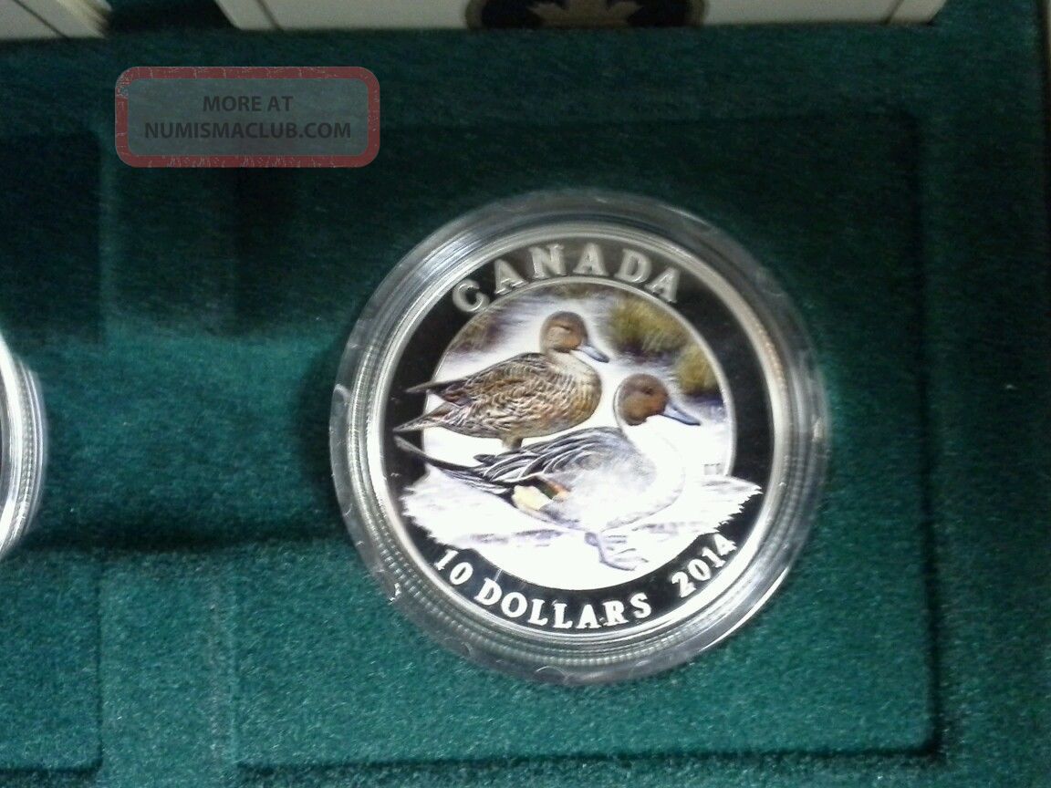 2013 Oz Silver Ducks Of Canada Mallard W/ Wood Box & Duck Call
