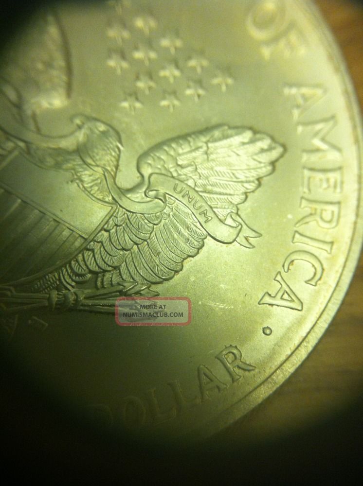 2003 Silver Eagle Us Painted Dollar Hologram Rare 1oz Pure Silver Coin ...