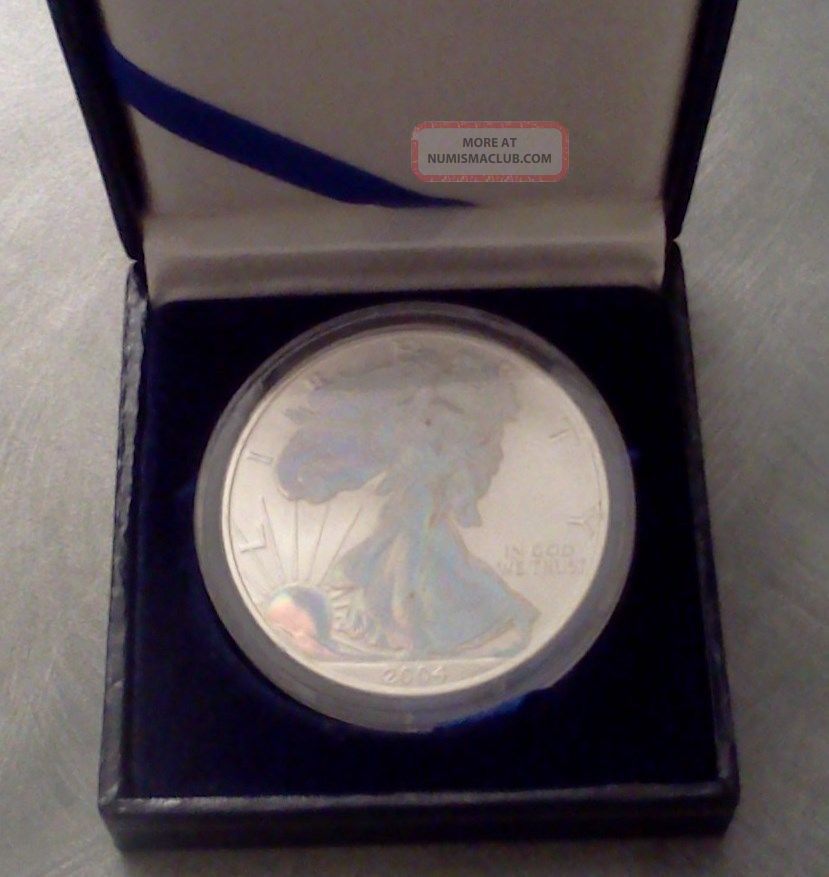 2004 American Silver Eagle, Silver Hologram 1 Troy Oz One Dollar Coin ...