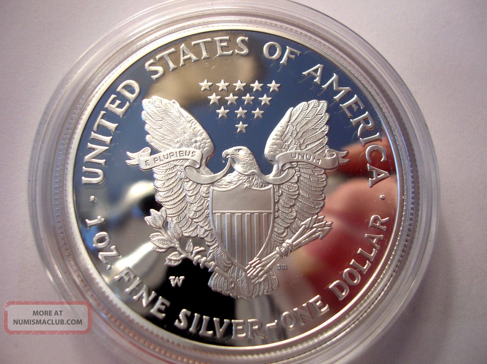 Look 2004 American Eagle Proof Dollar.