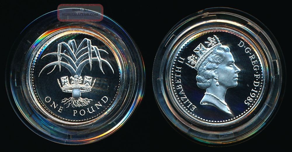 1983 + 1985 Uk Silver Pound Proofs (cases) Awesome