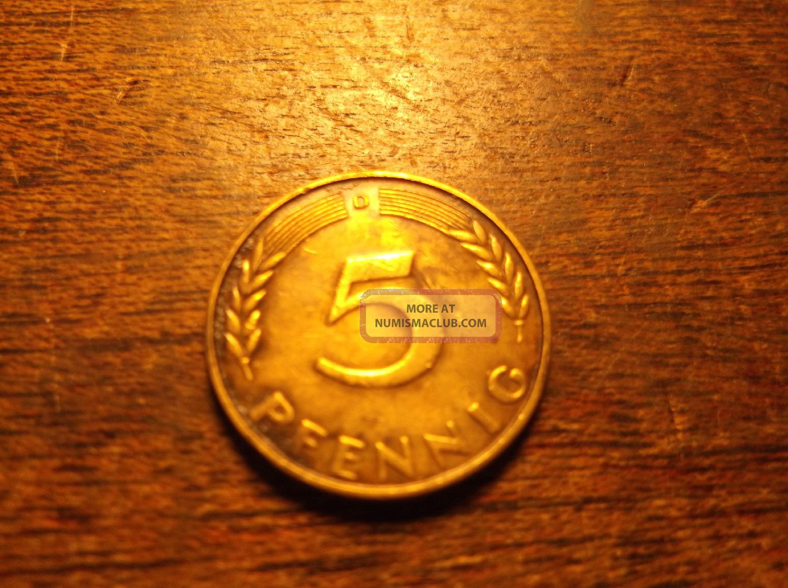 Germany - Federal Republic 5 Pfennig, 1950 D, Cir.