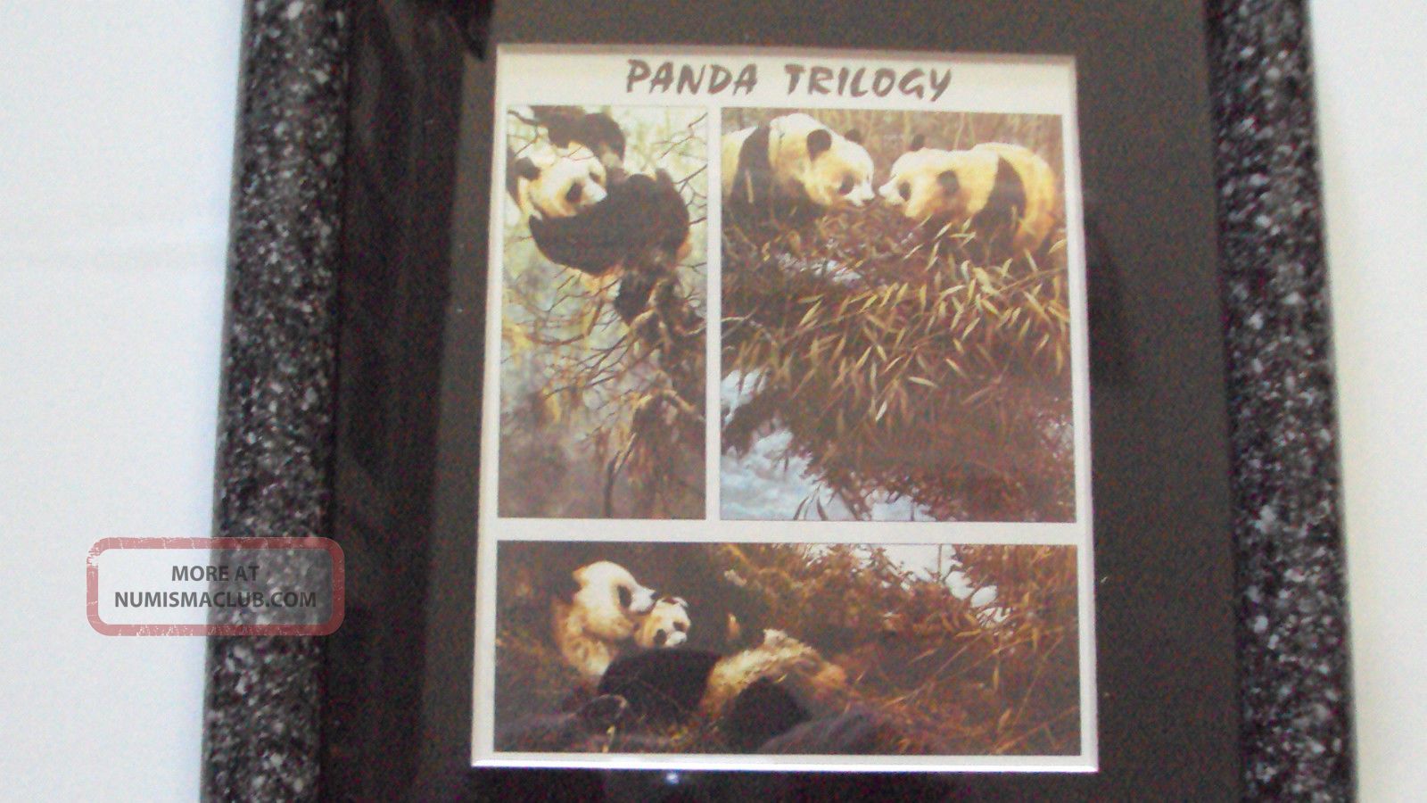 1987 China Gold Panda 25 Yuan 1/4 Oz. Gold. 999 Fine, State, Framed In Pic