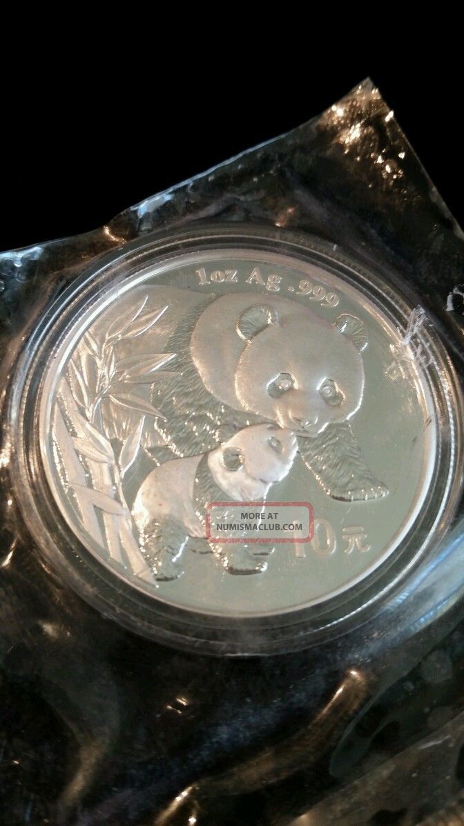 2004 China Panda 1oz Silver. 999 Coin