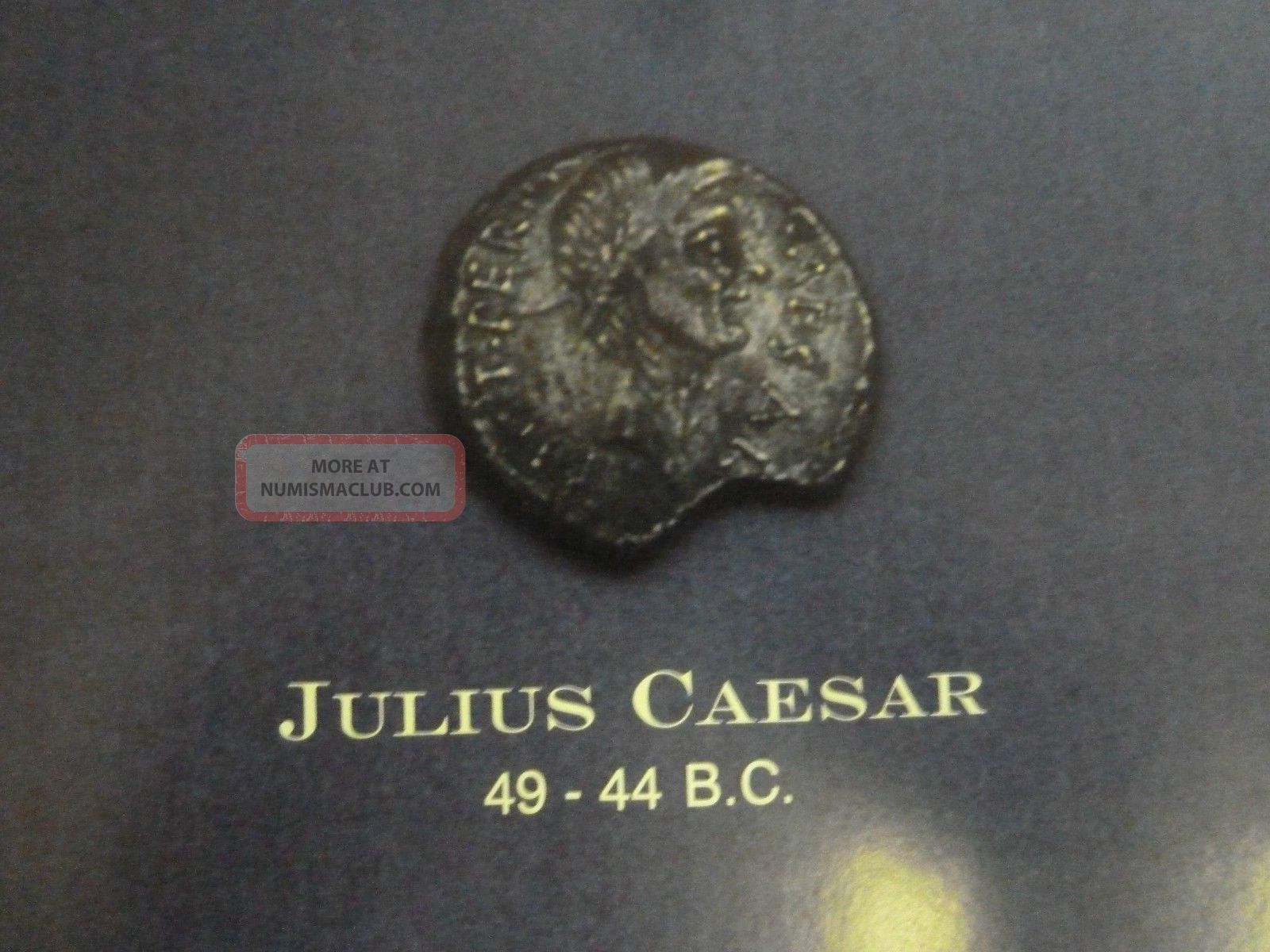 Ancient Roman Coin Poster Of The 12 Caesars Caligula Augustus Julius ...
