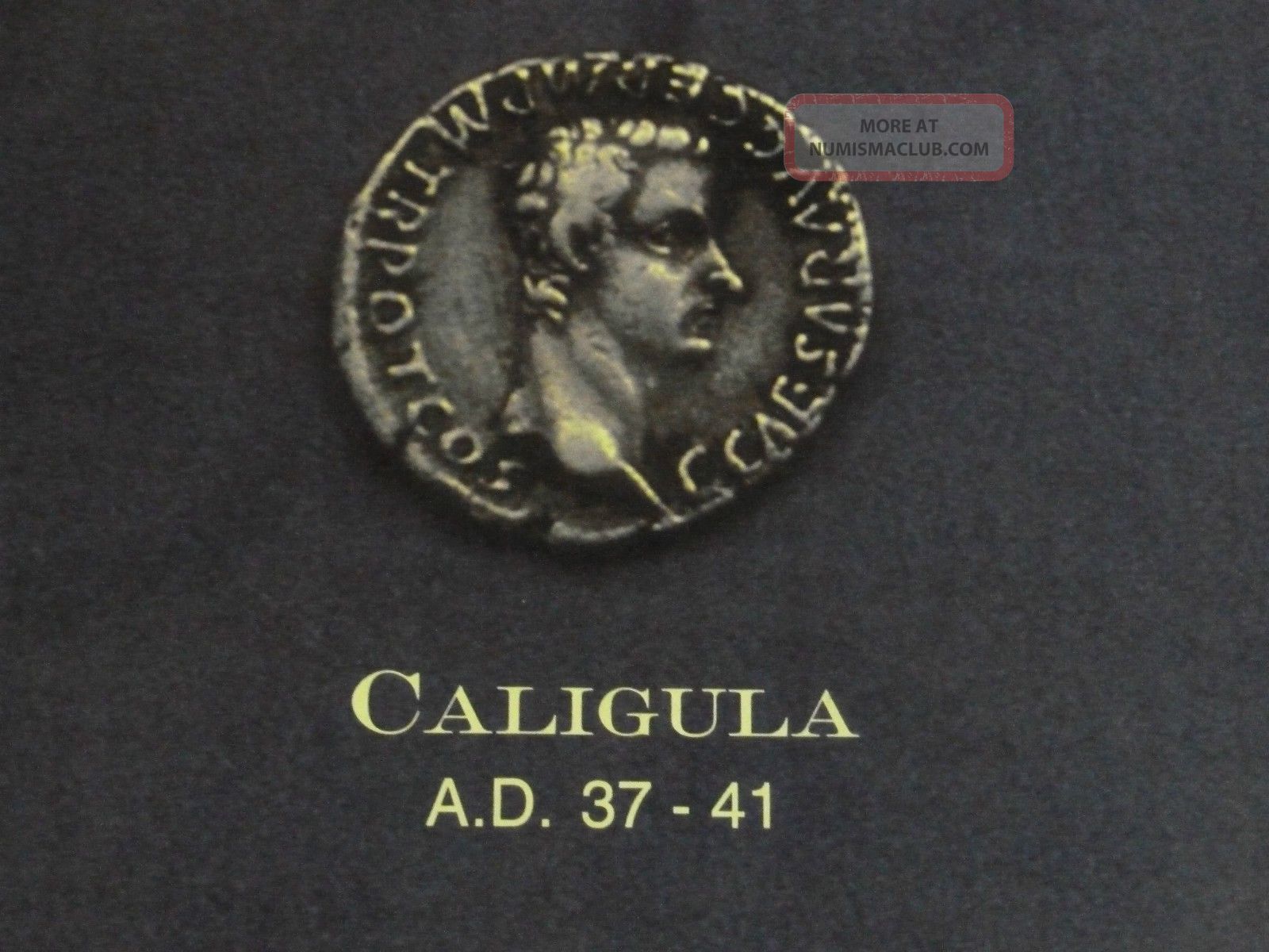 Ancient Roman Coin Poster Of The 12 Caesars Caligula Augustus Julius ...