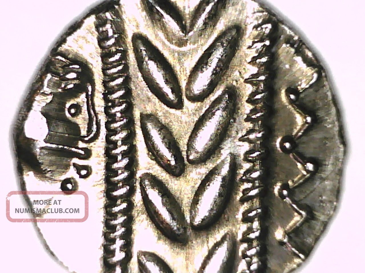 Greek Britain Celtic Central Europe Boii Drachm Wreath / Horse Coin ...