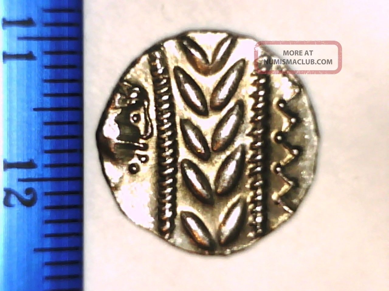 Greek Britain Celtic Central Europe Boii Drachm Wreath / Horse Coin ...