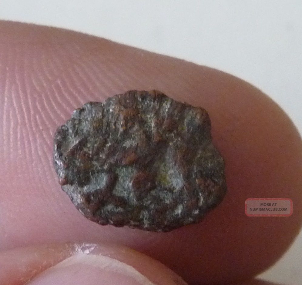 Unknown Unidentified Ancient Coin Fish And Eagle? Bronze Coin Ae12