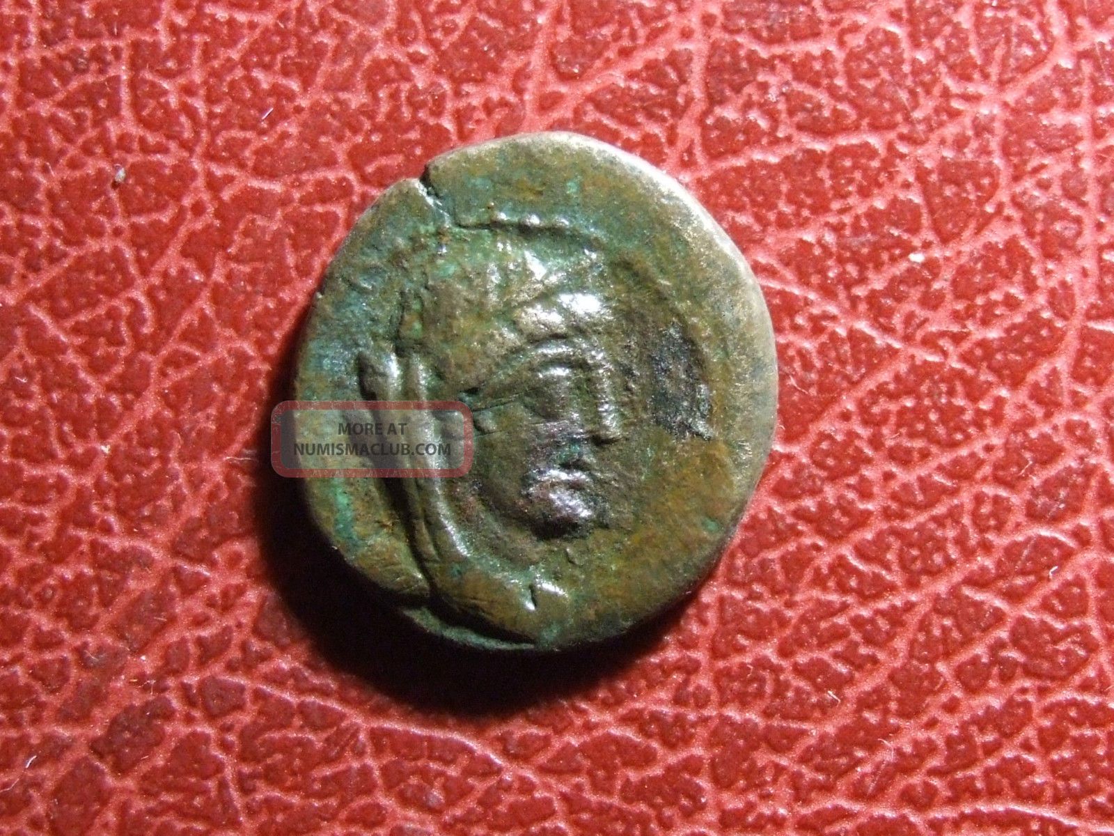 Phoenicia Arados Astarte Or Europe Zebu Bull Leaping Left Ae21 Coin