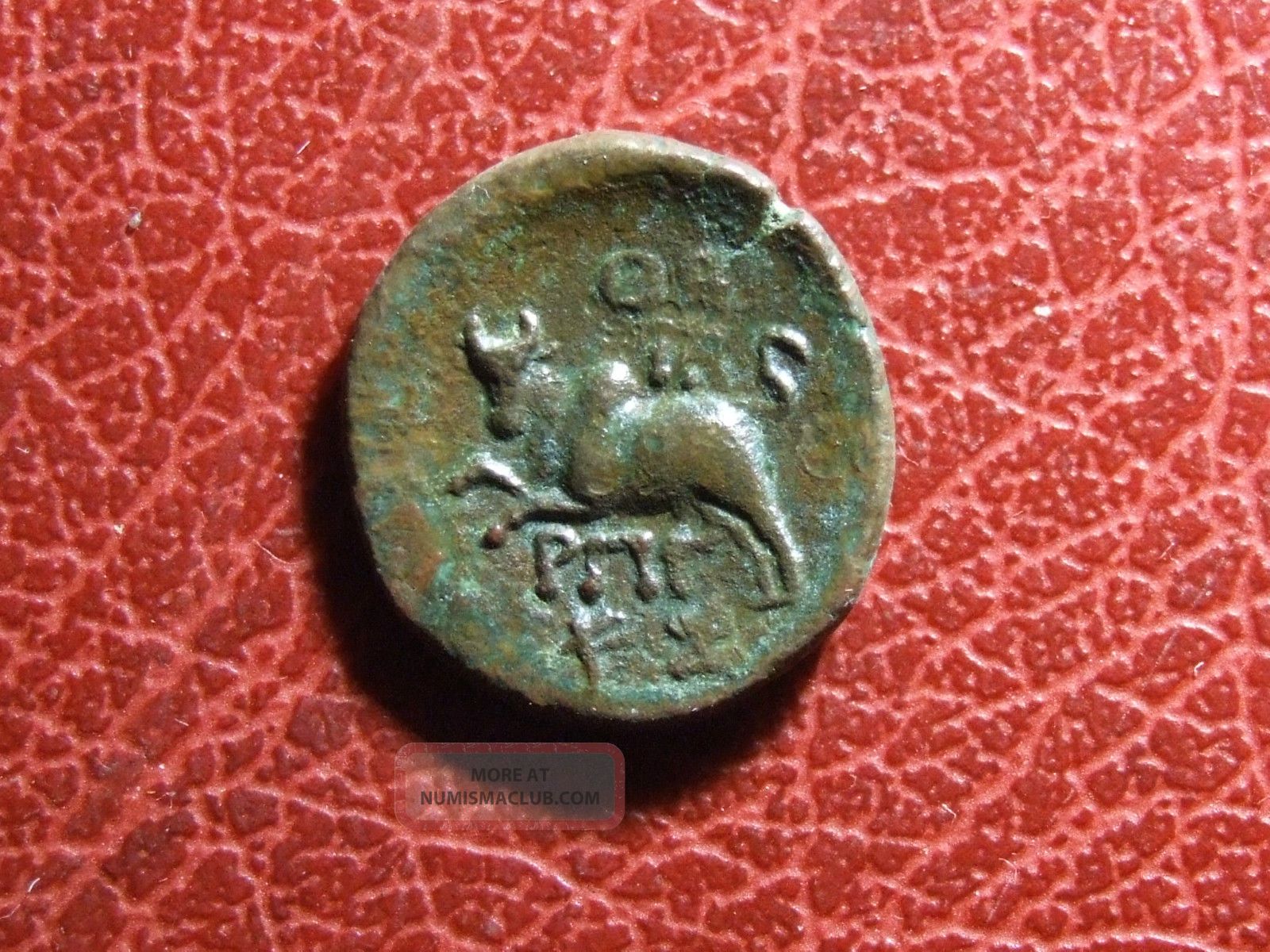 Phoenicia Arados Astarte Or Europe Zebu Bull Leaping Left Ae21 Coin
